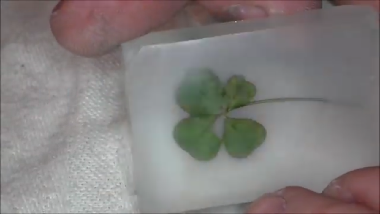 DIY Four-leaf Clover in Resin : 9 Steps (with Pictures) - Instructables
