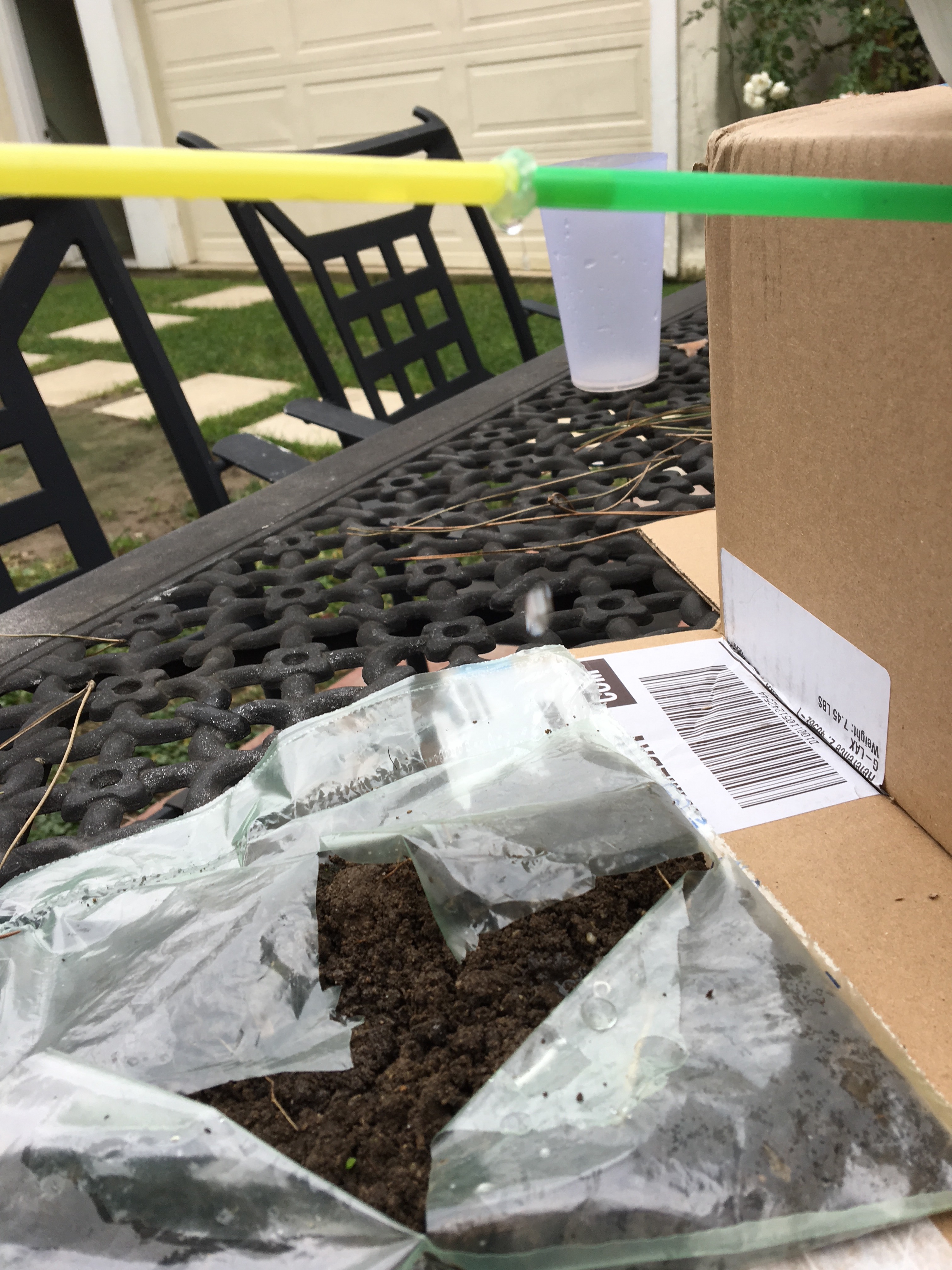 Grow a Plant in a Plastic Bag With a Drip Irrigation Systems : 6 Steps ...