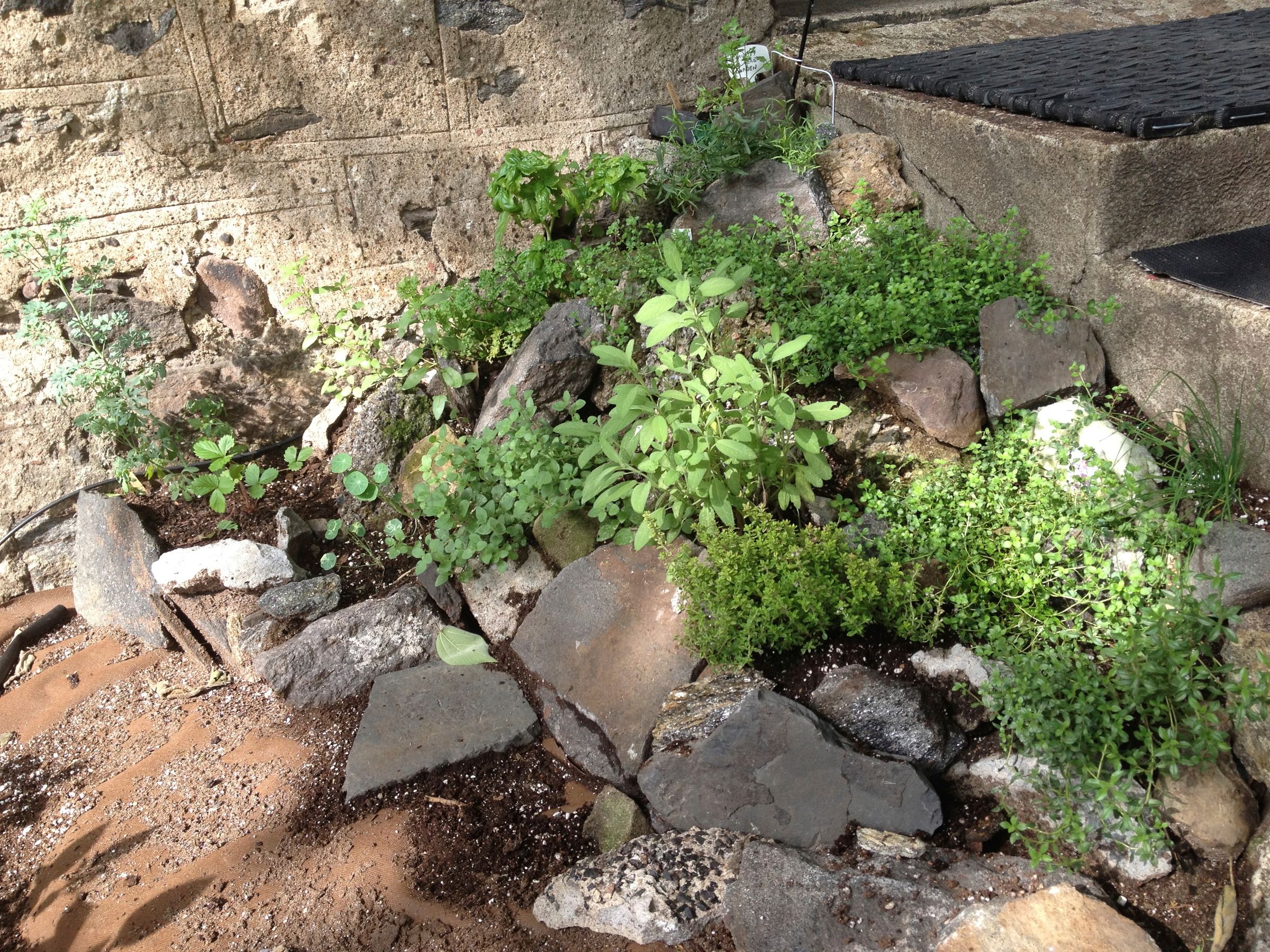 Build a Community Garden : 8 Steps (with Pictures) - Instructables
