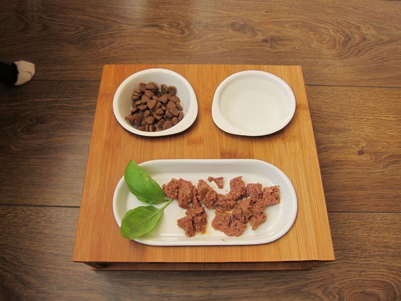 Cat Tray (with Pictures) - Instructables