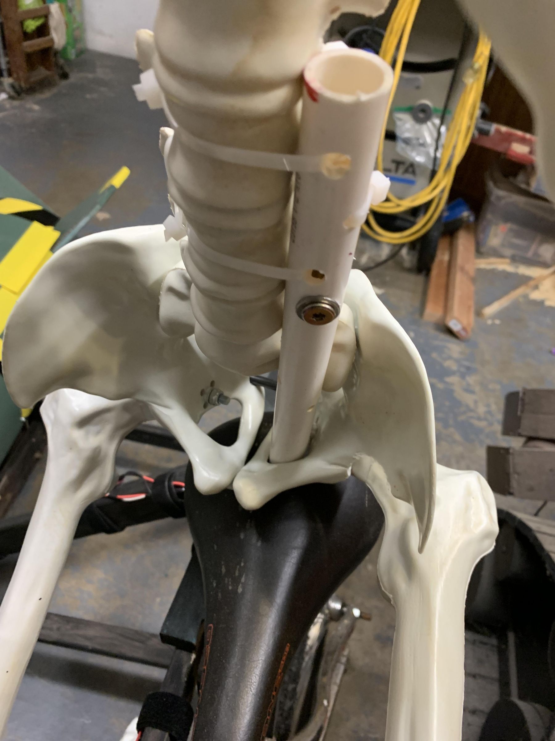 The Bike Riding Skeleton : 9 Steps (with Pictures) - Instructables