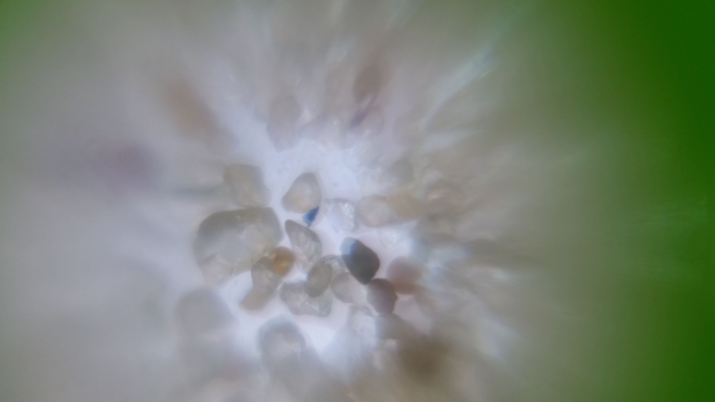 The $1 Pocket Microscope - Explore the World Around You at 80x and 140x ...
