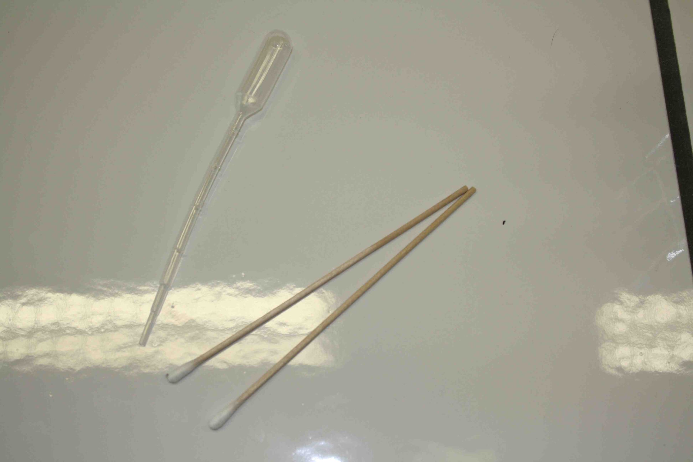 Cook Your Own Microbial Growth Plates : 8 Steps (with Pictures ...