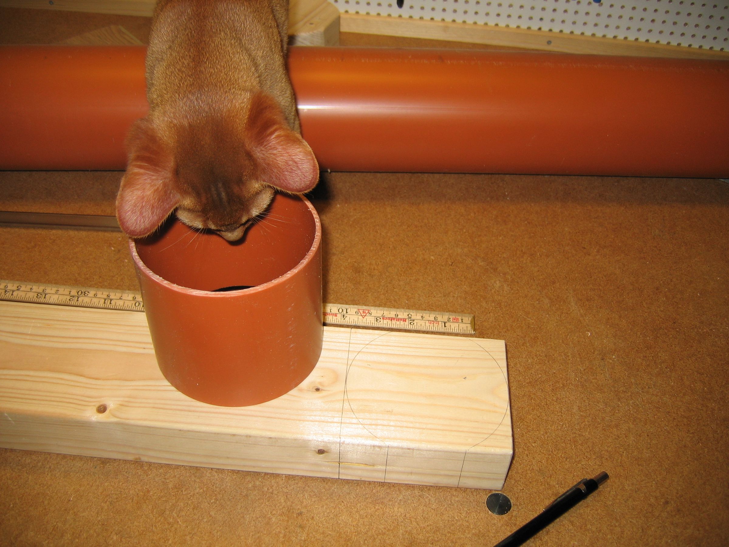 Full Size Cat Scratching / Climbing Post : 7 Steps - Instructables