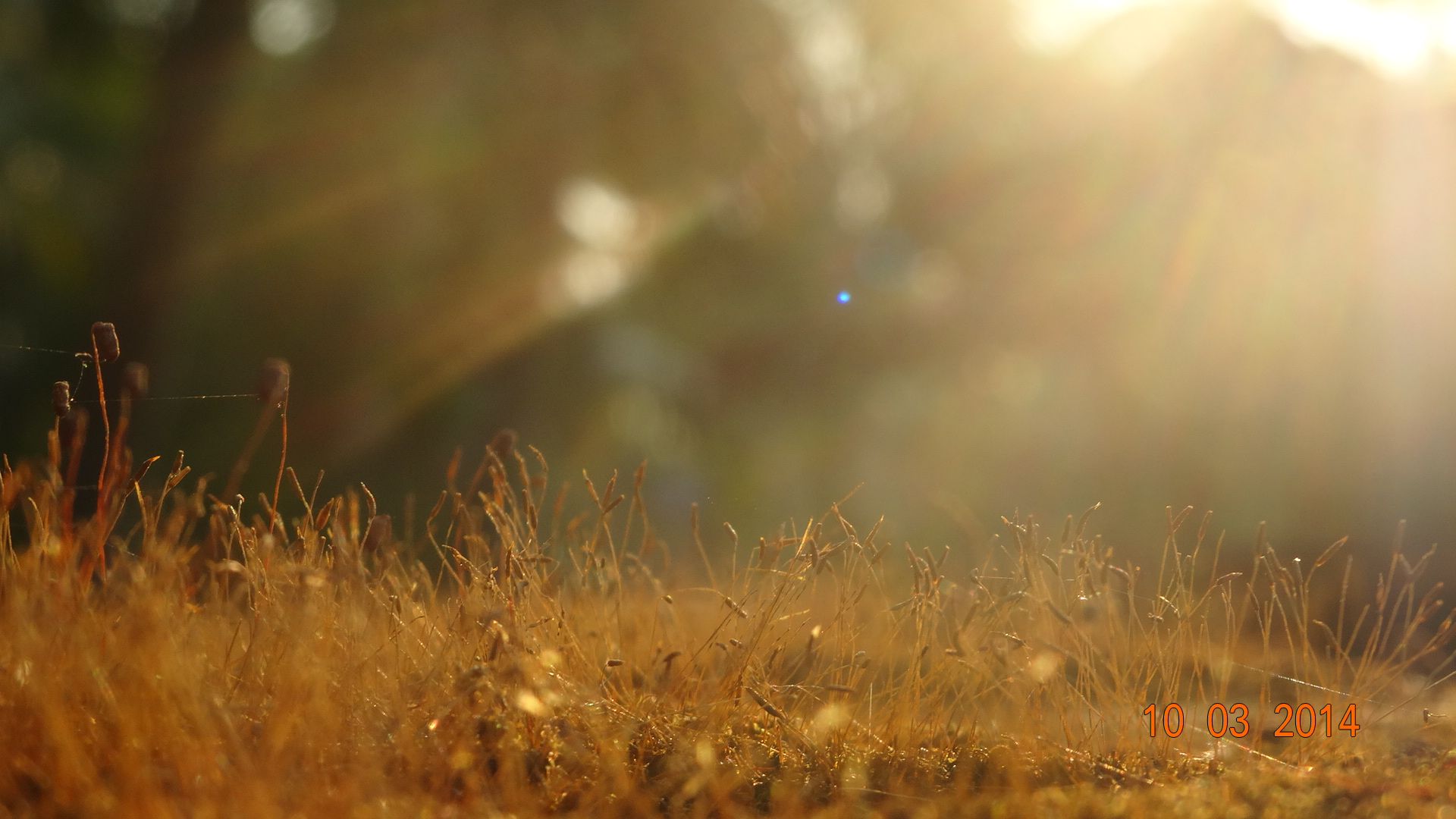 Natural Photography - Instructables