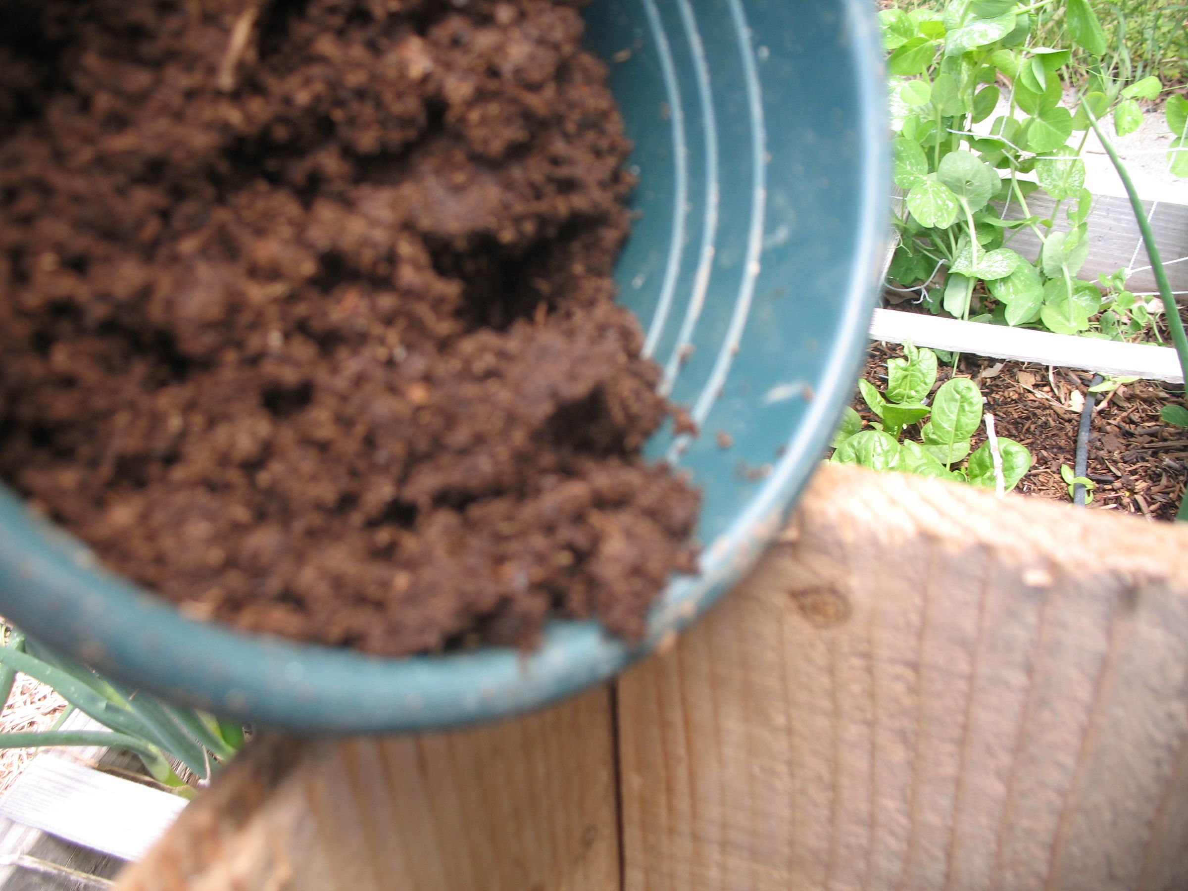Worm Cafe - Compost With Earthworms Right in Your Garden : 13 Steps ...