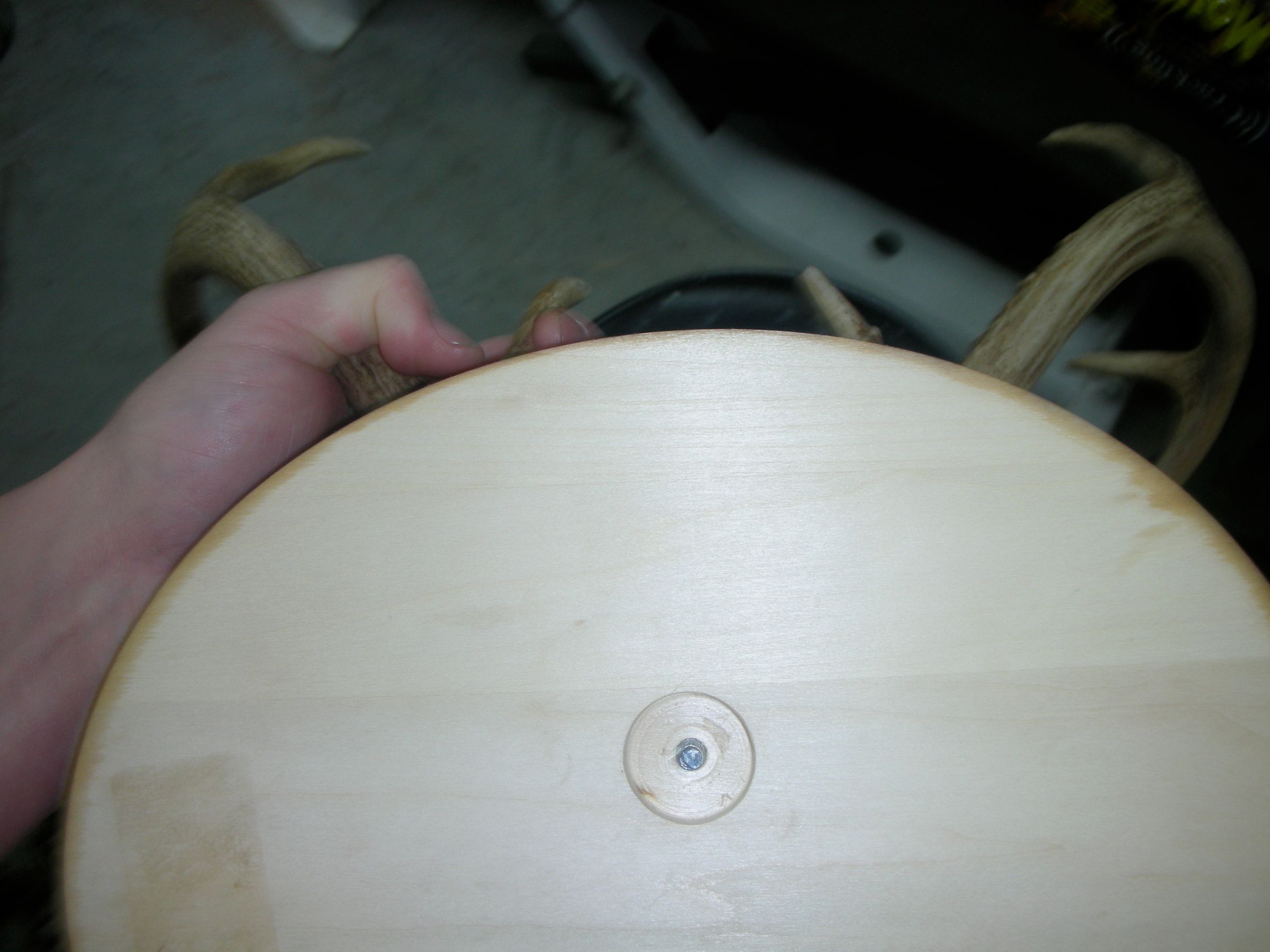Mounting Deer Antlers : 10 Steps (with Pictures) - Instructables