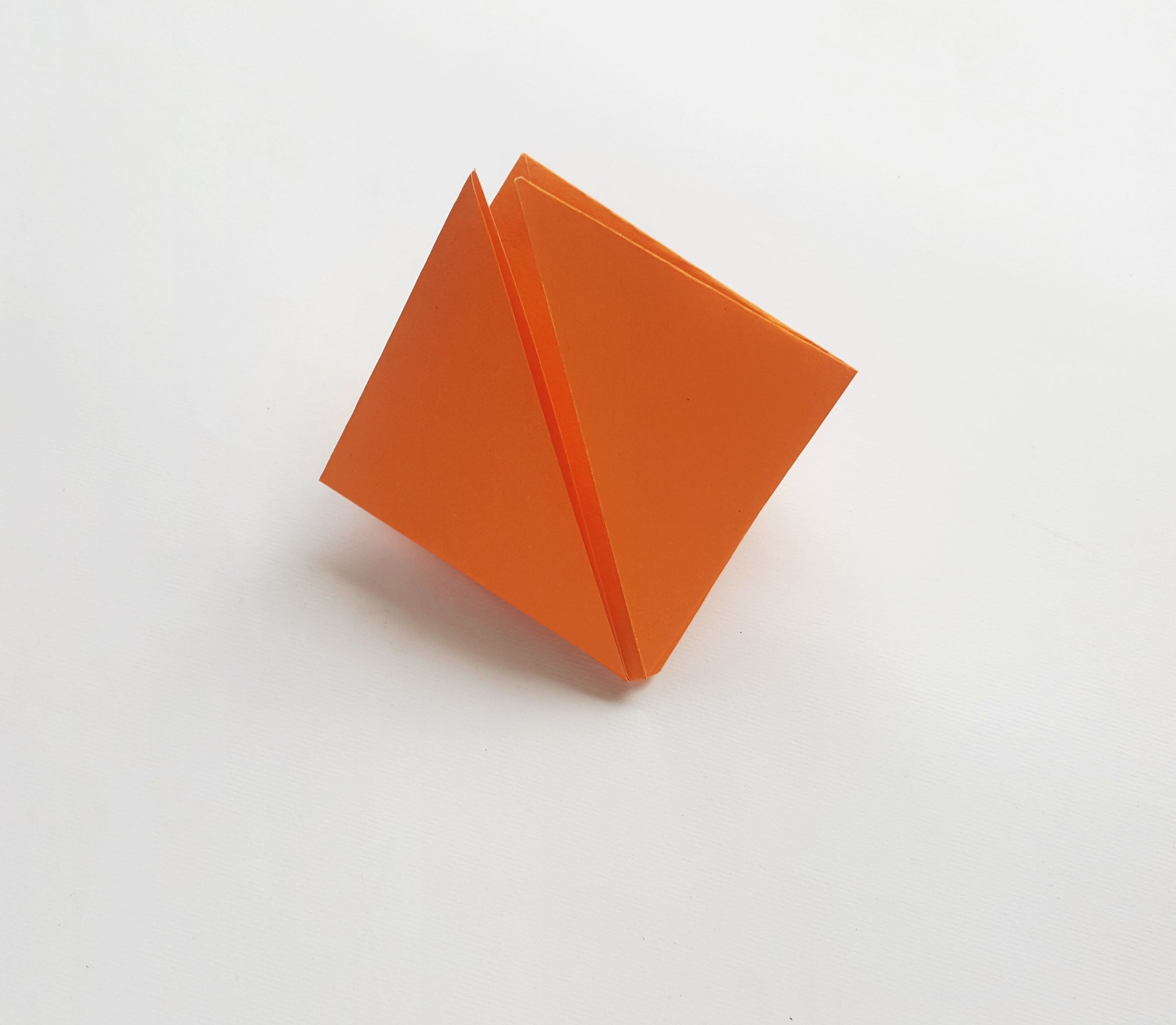 Origami Tulips : 7 Steps (with Pictures) - Instructables