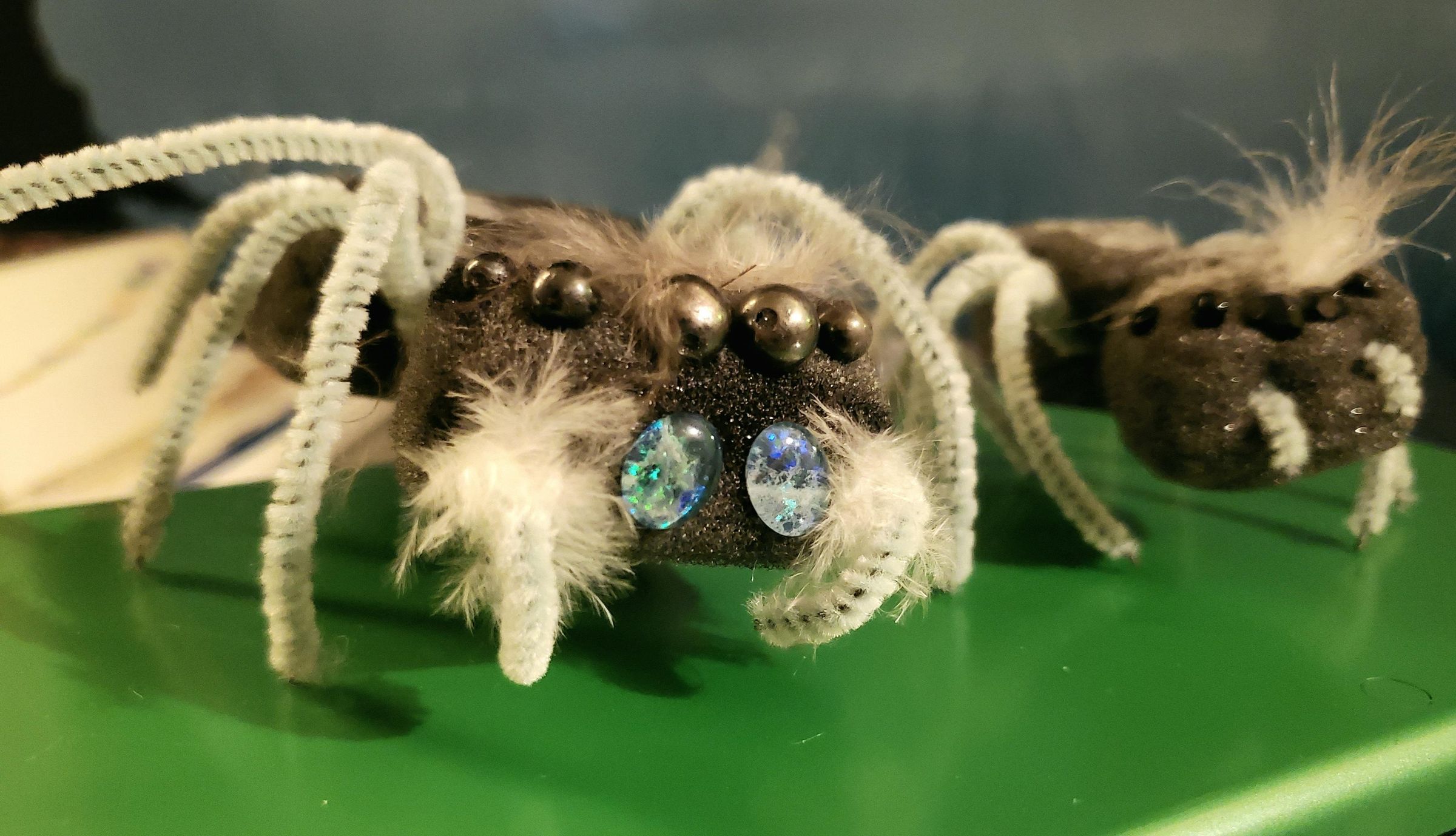Jumping Spider : 9 Steps (with Pictures) - Instructables