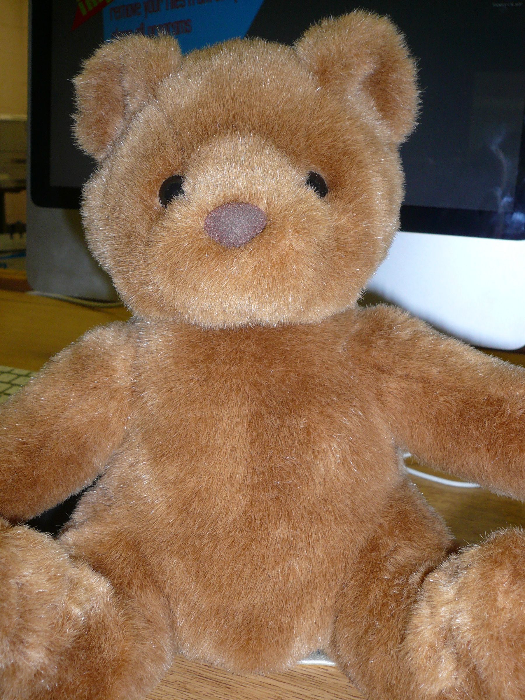 Music Bear : 4 Steps - Instructables