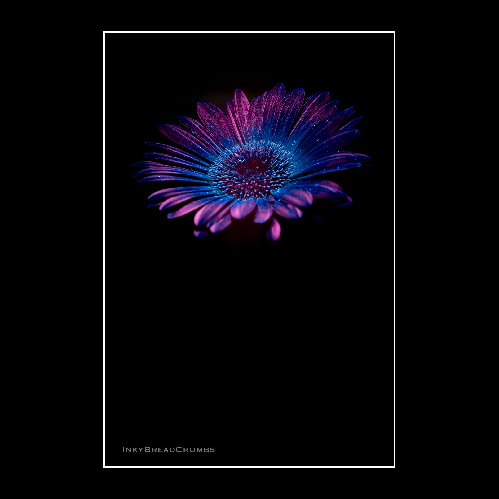 Make It Glow: a Flash Upgrade to Ultraviolet : 10 Steps (with Pictures ...