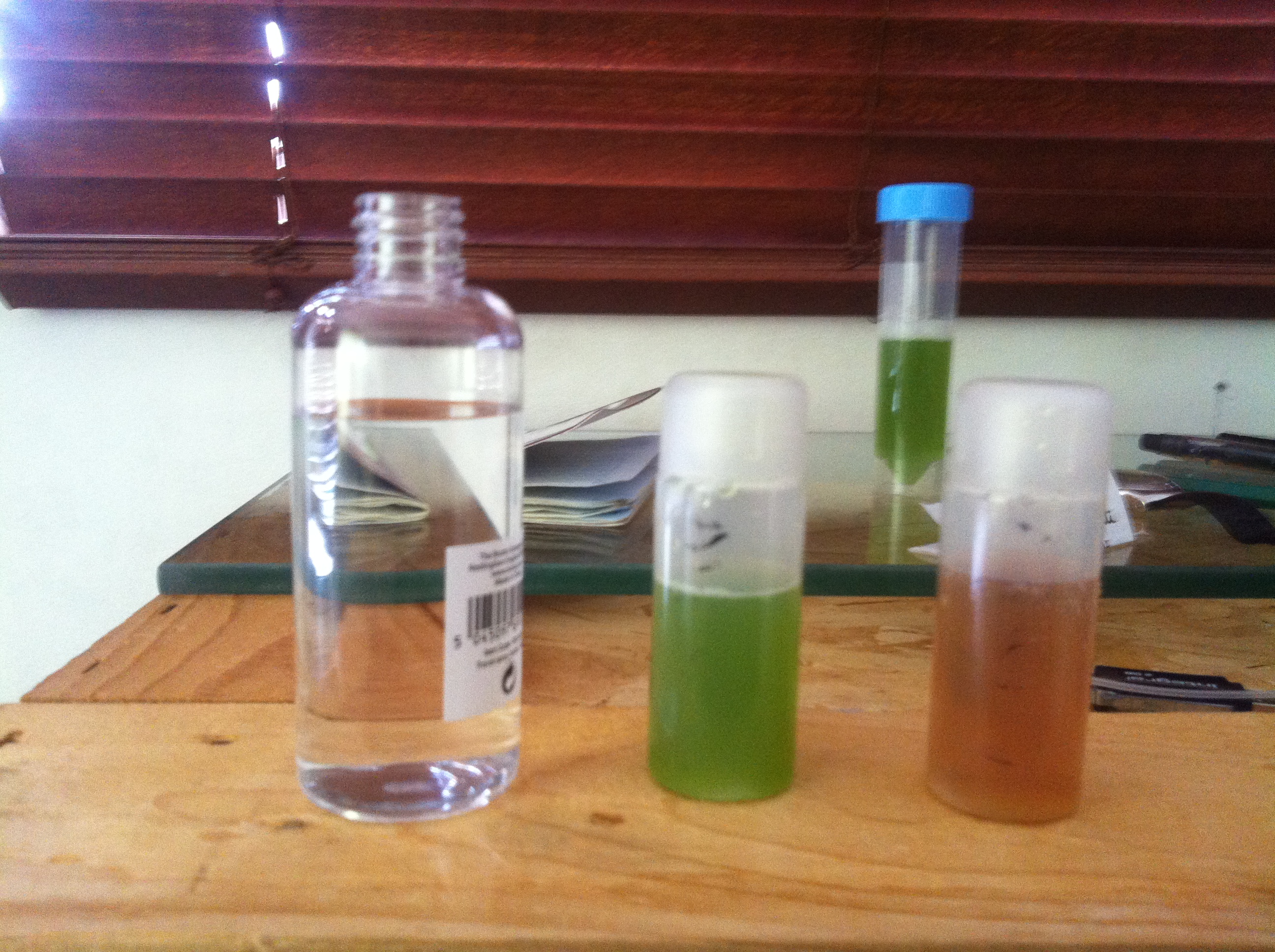 The Algae Experiment: How to Build Your Own Algae Photo-bioreactor ...