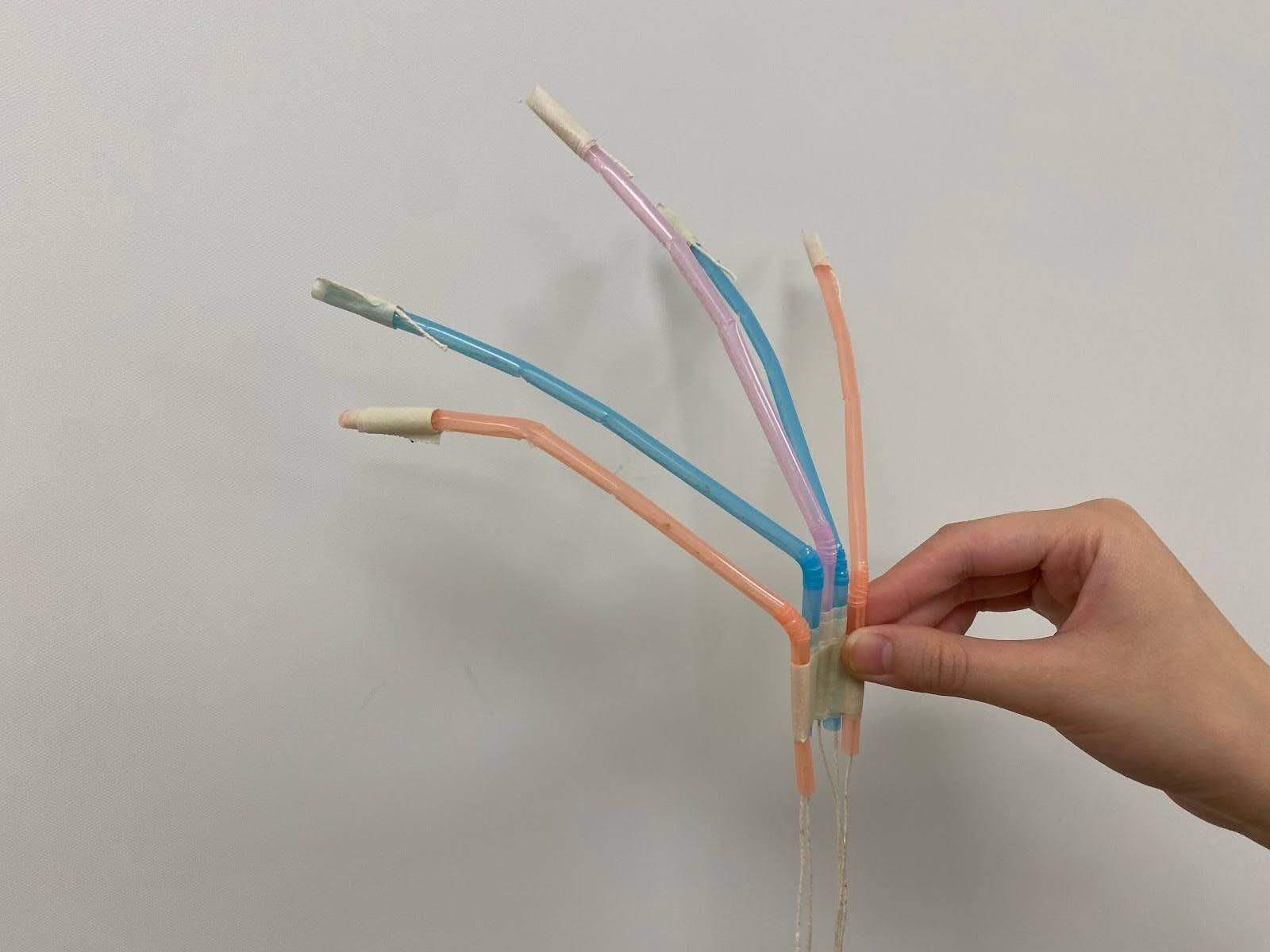 DIY Budget-Friendly Straw Claw Grabber : 5 Steps (with Pictures ...