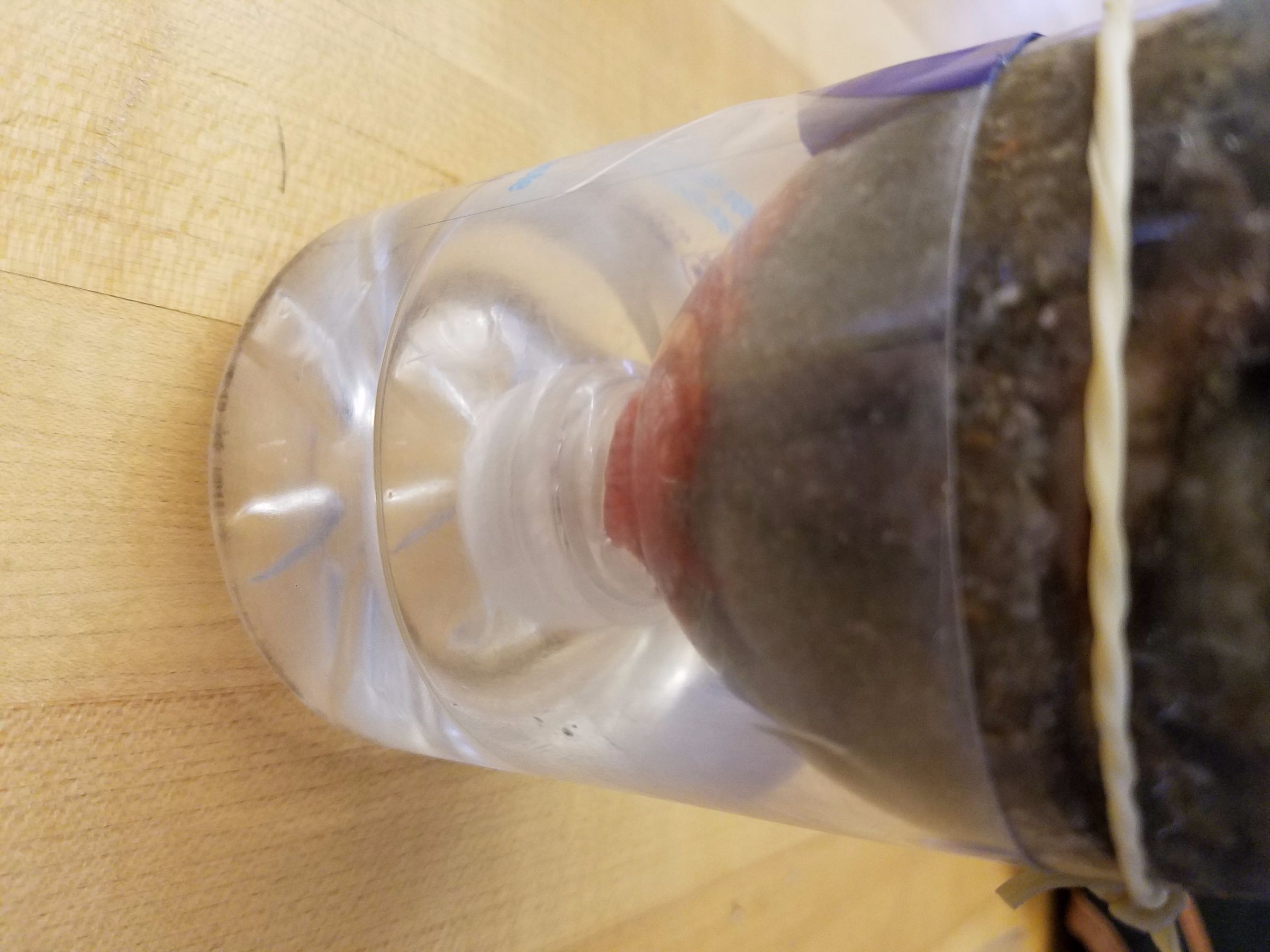 Simple Water Filter : 5 Steps (with Pictures) - Instructables