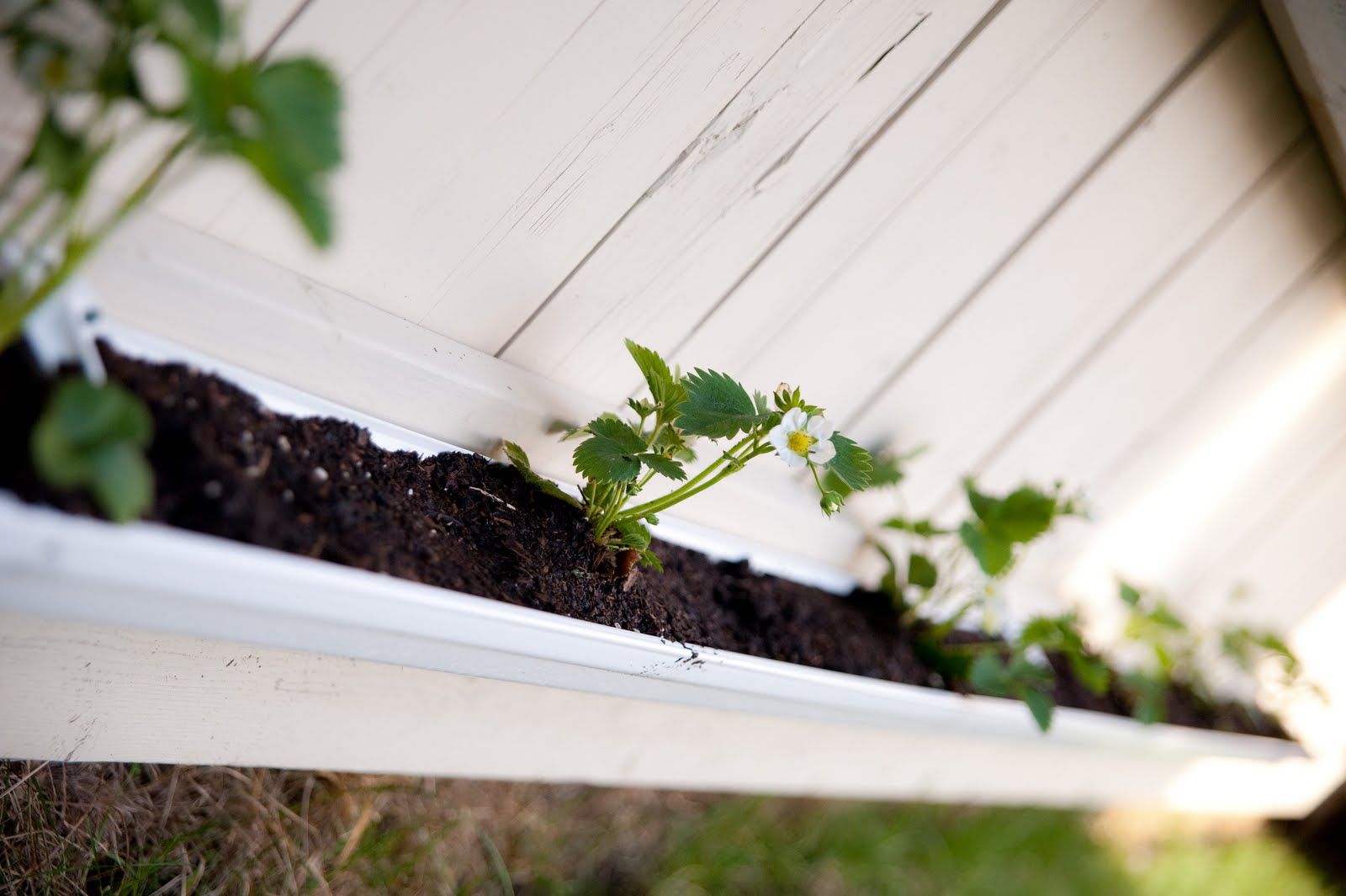 How to Use Gutters to Dress Up Your Fence : 11 Steps - Instructables