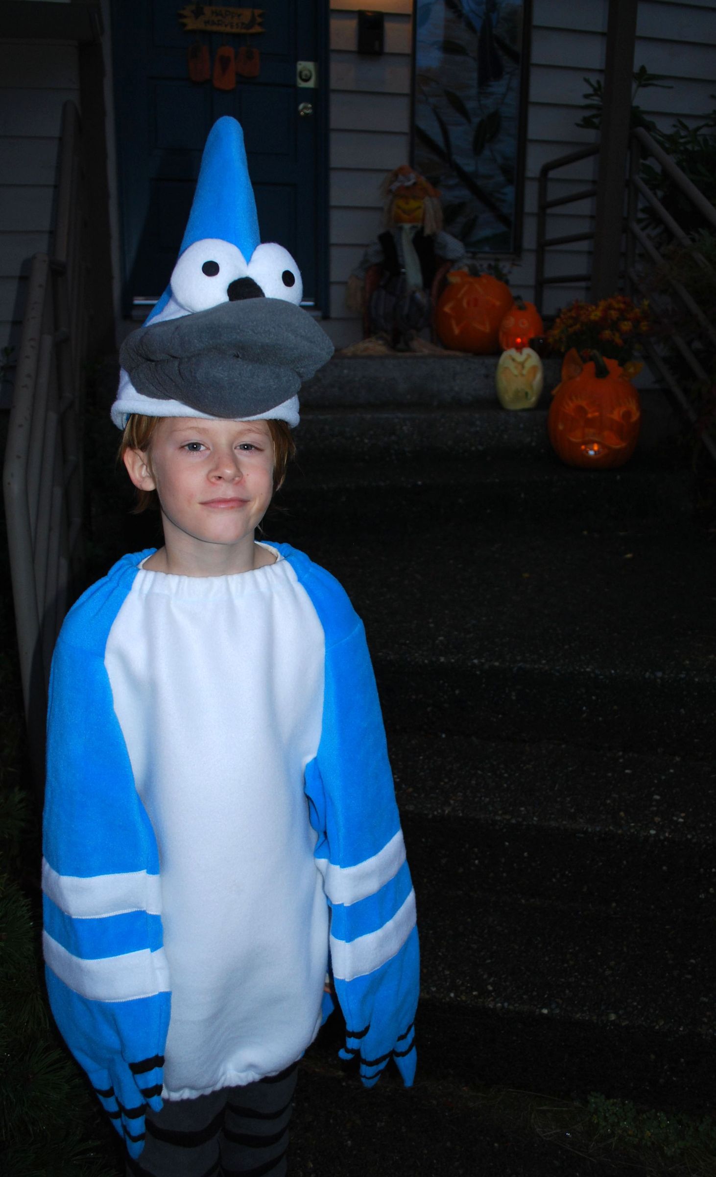 Mordecai From Regular Show - Instructables