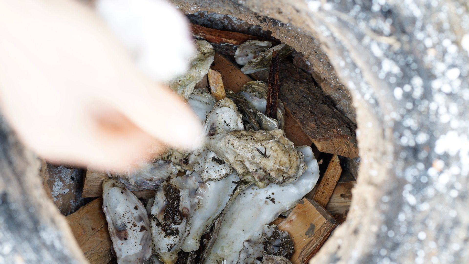 Burn Seashell Lime in a Primitive Straw/Clay Kiln! : 10 Steps (with ...