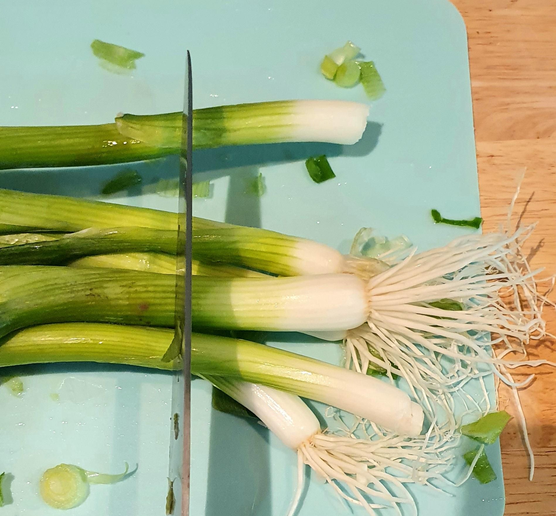 Re-growing Spring Onions : 8 Steps (with Pictures) - Instructables