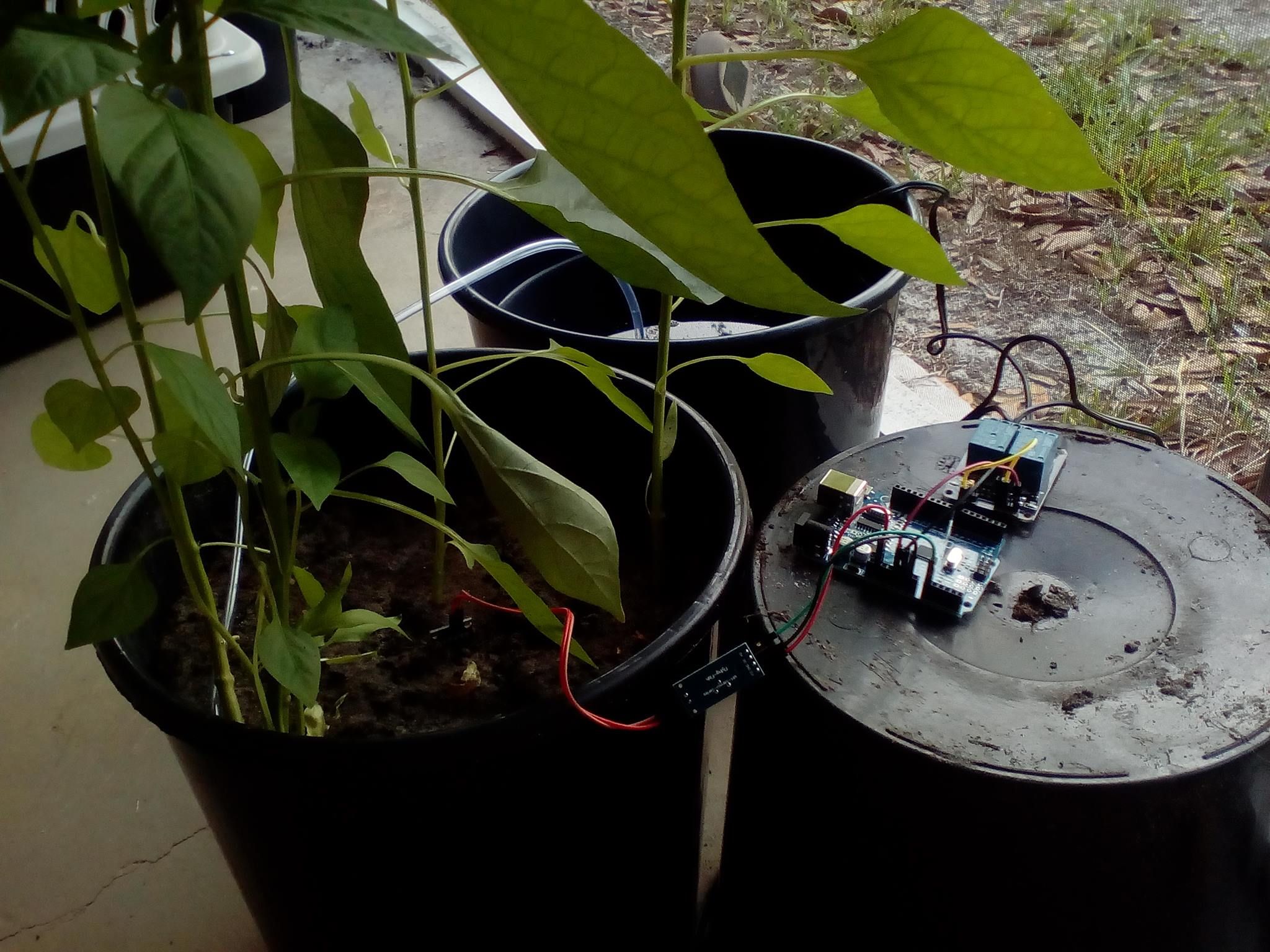 Lazy Man's Automatic Plant Watering Robot : 4 Steps (with Pictures ...