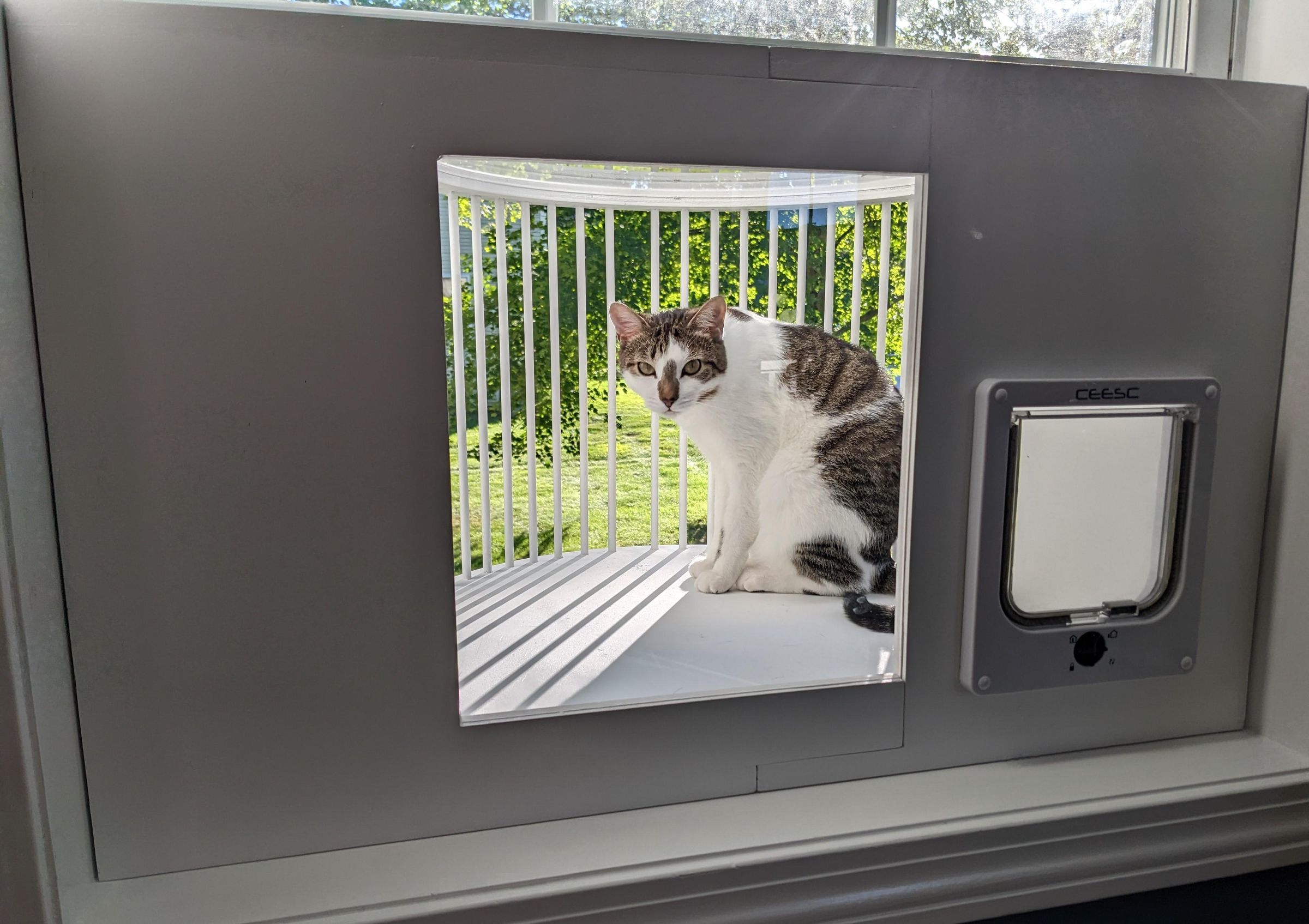 Window Catio (Cat Patio) : 12 Steps (with Pictures) - Instructables