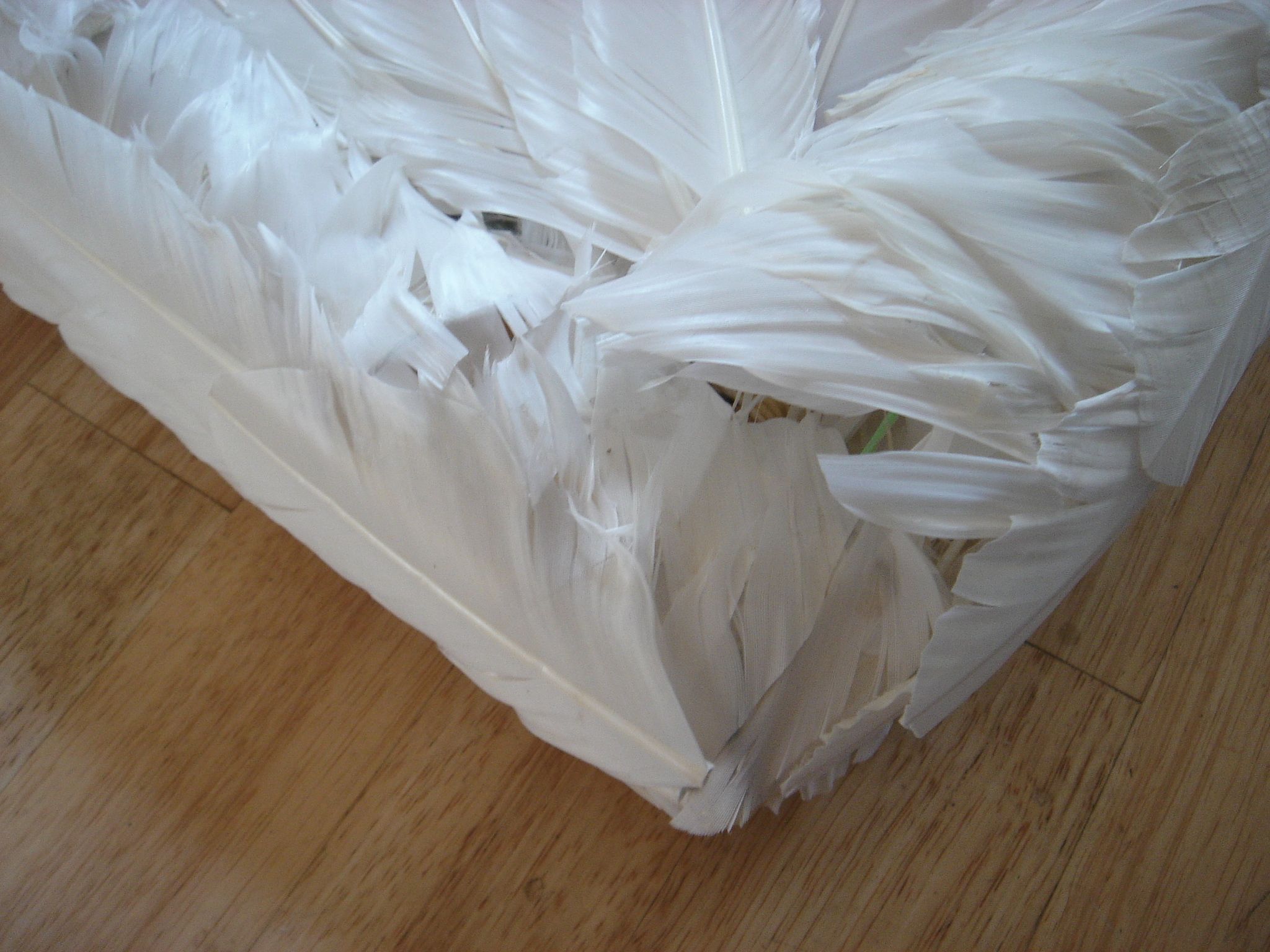 How to Make a Pair of Angel Wings : 15 Steps (with Pictures ...