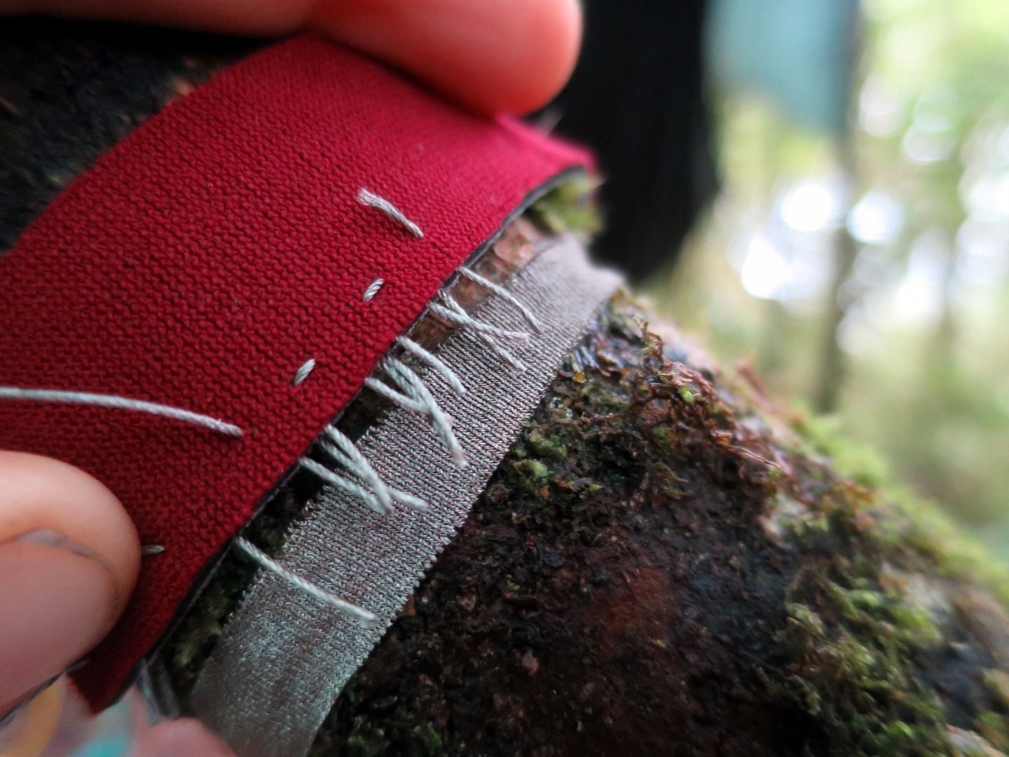Fiber-Optic Jungle Insect Traffic Taster : 17 Steps (with Pictures ...