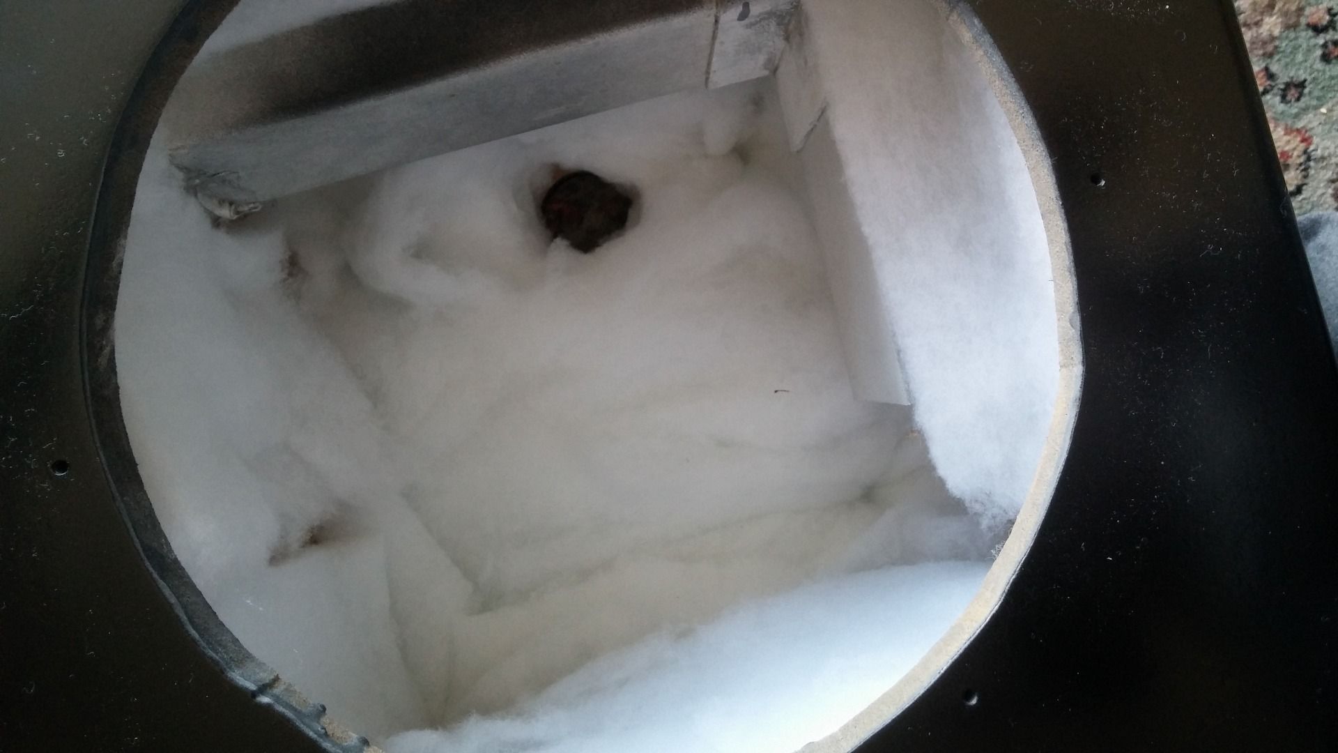 DIY 10" Home Subwoofer : 12 Steps (with Pictures) - Instructables