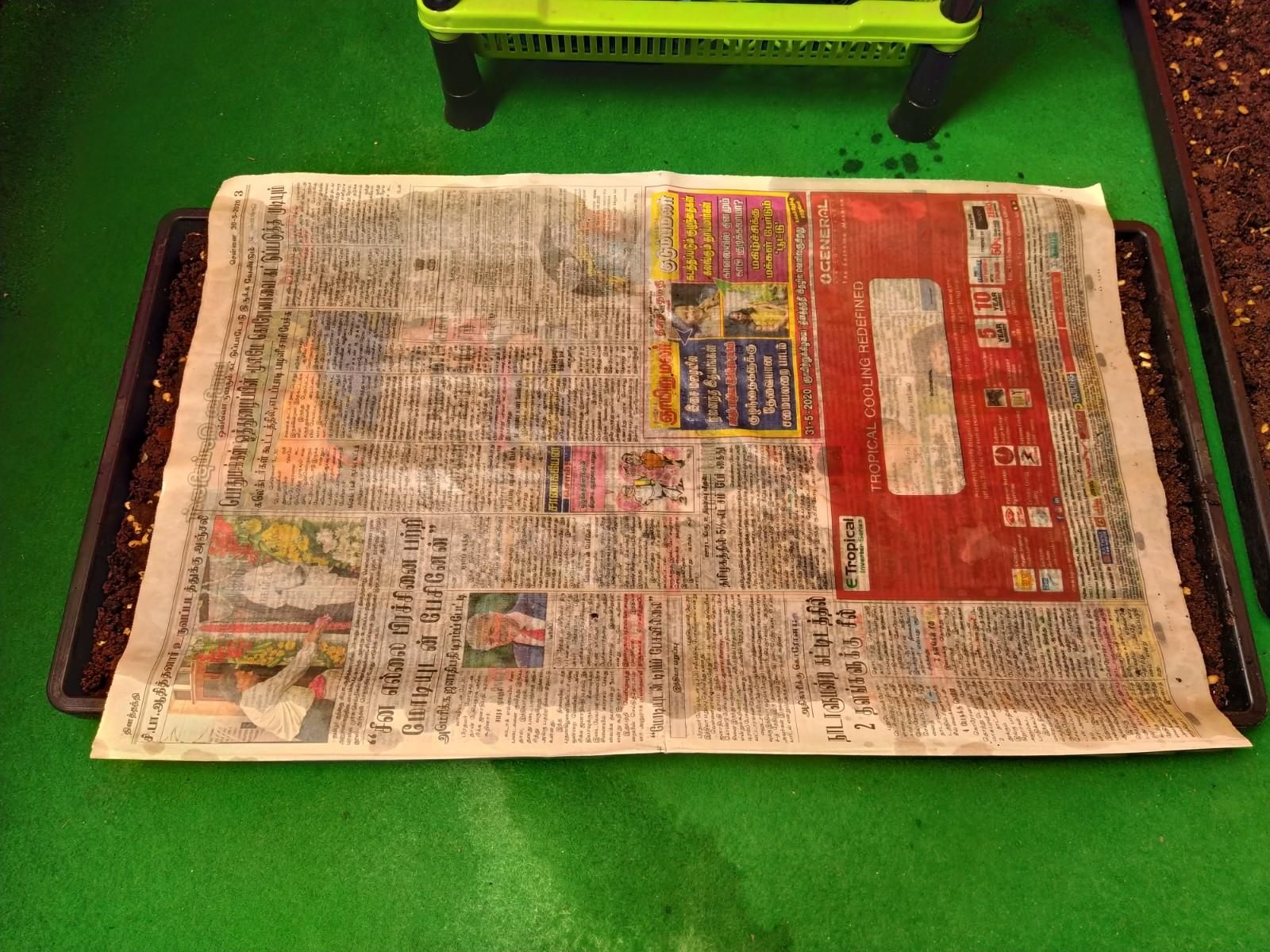 Basic Guide to Grow Micro 'green' : 14 Steps (with Pictures ...