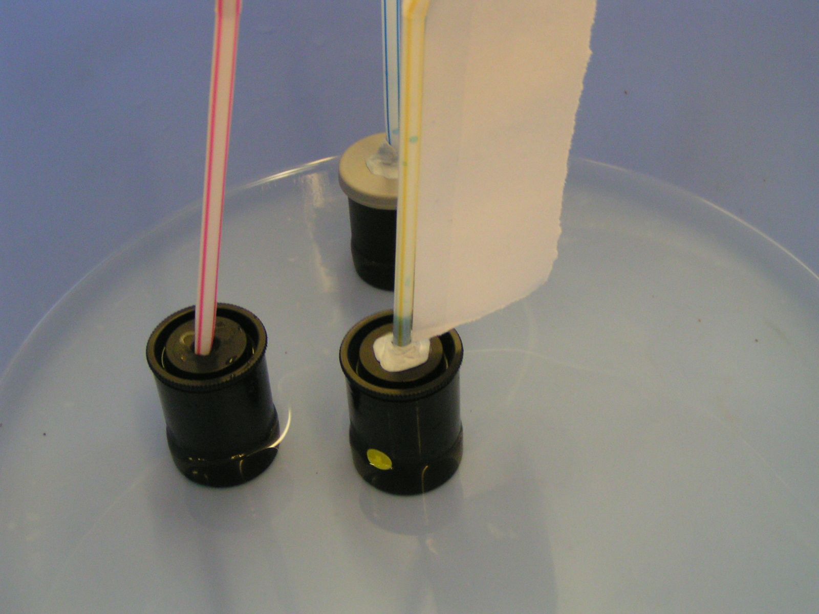 Be a Scientist: Make Your Own Thermometer : 5 Steps - Instructables
