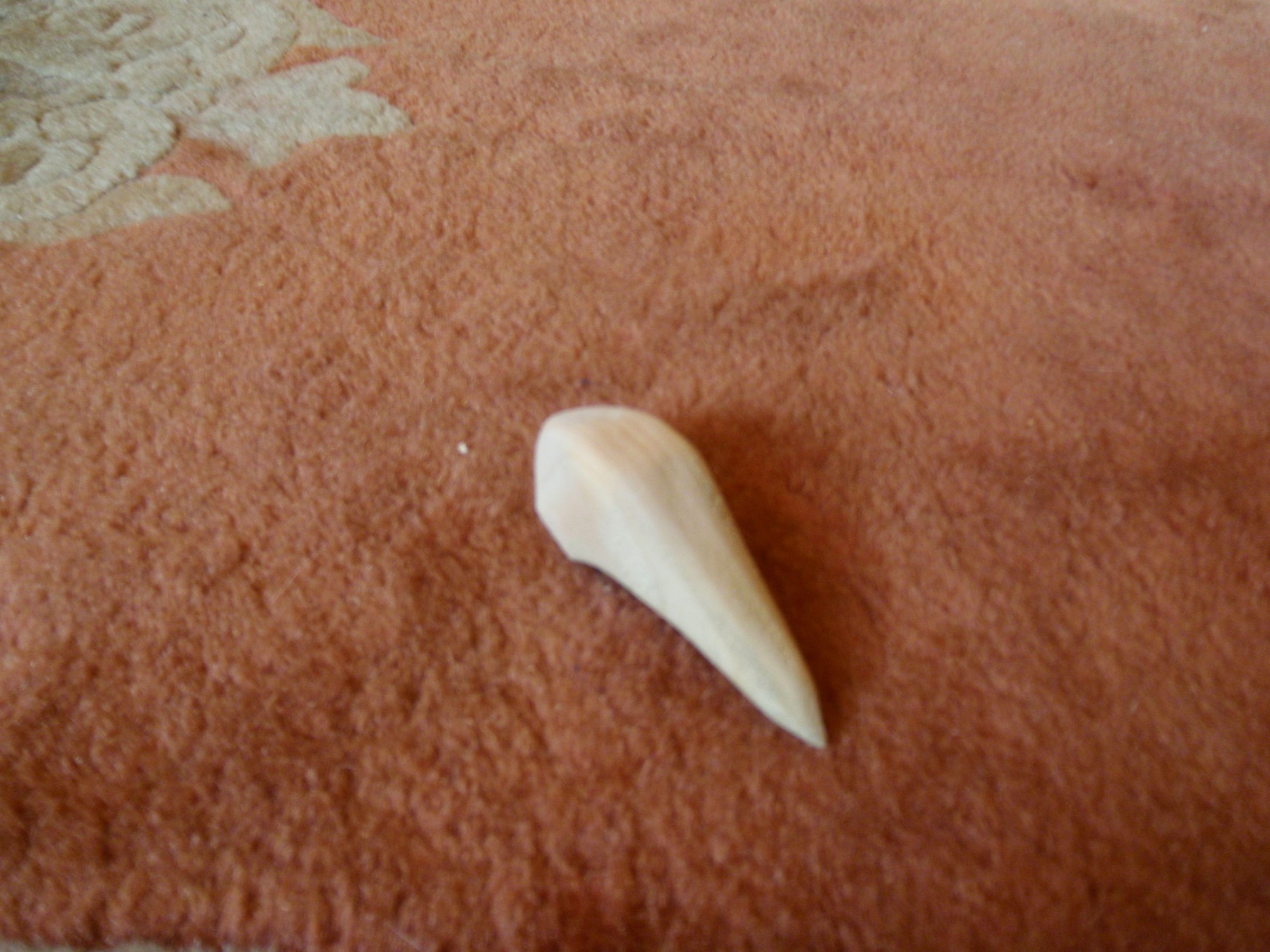 How to Make a Wooden Claw (or Fang) : 9 Steps - Instructables