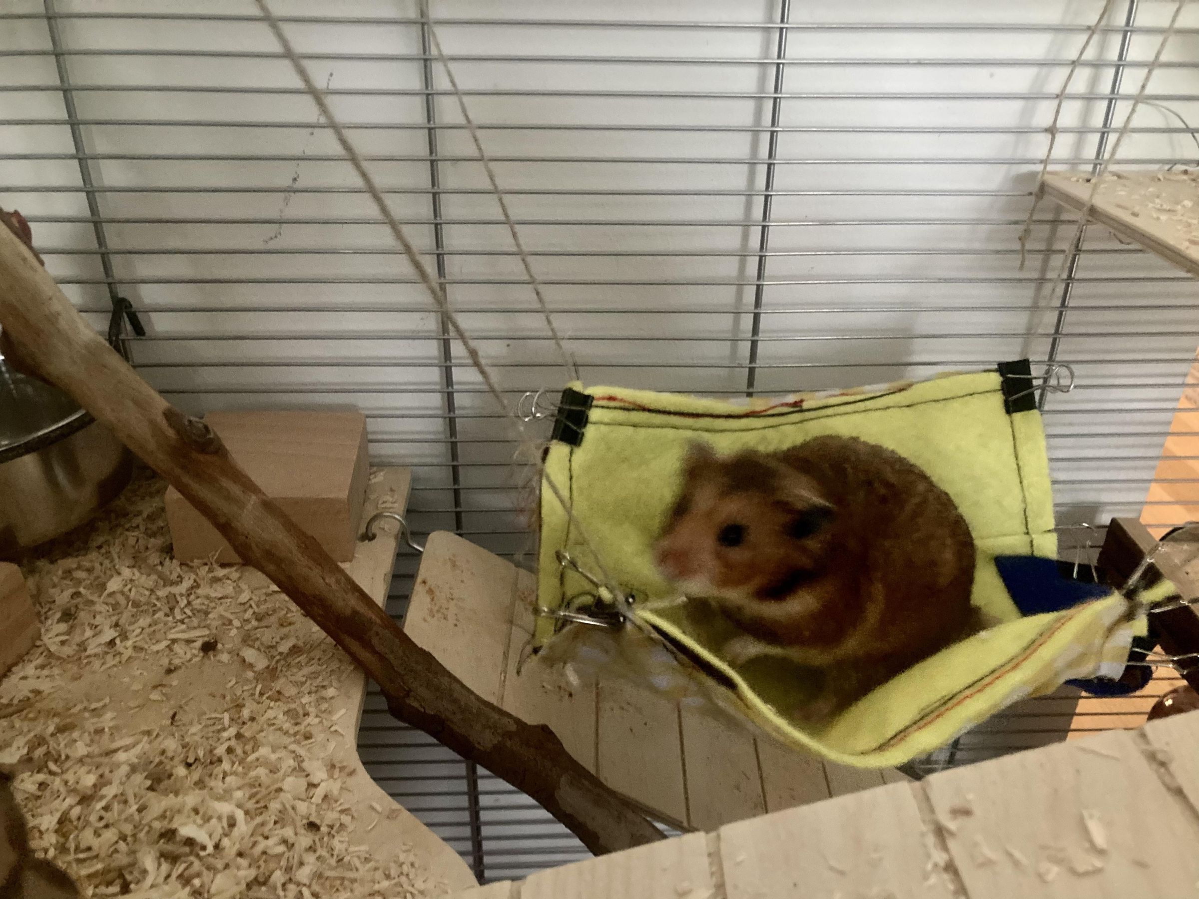 How to Make a Hamster Playground — E-Textiles Tutorial : 16 Steps (with ...