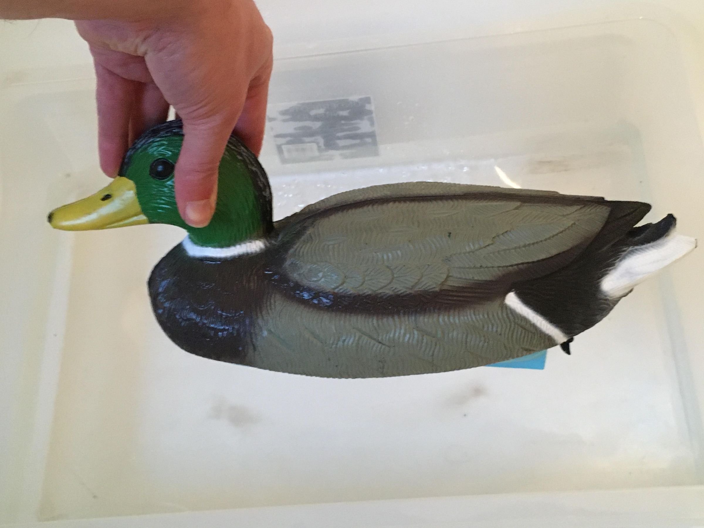 Dave - the Remote Control Duck (An Intro to 'Kit-Bashing') : 25 Steps ...