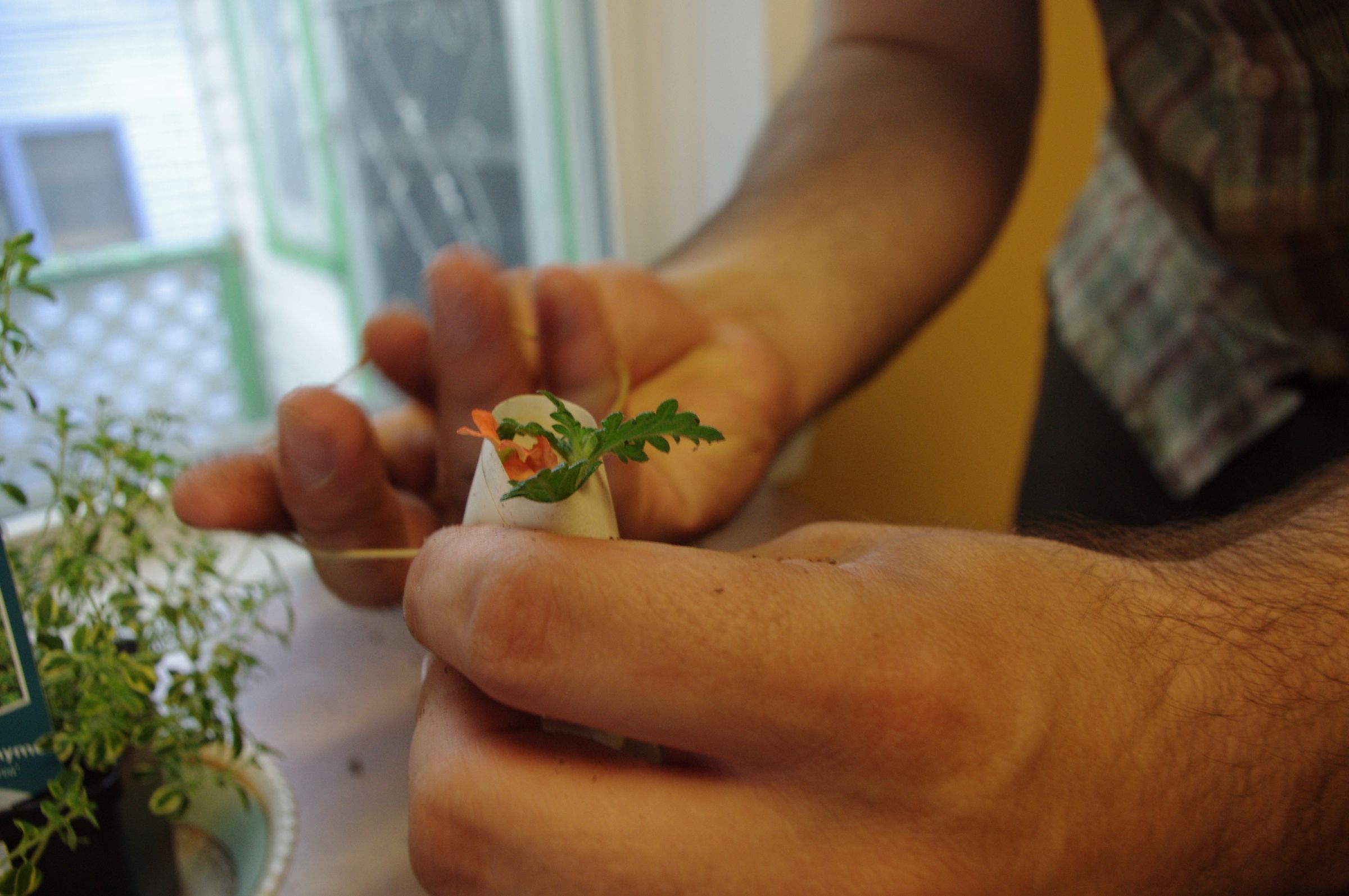 Inverted Wine Bottle Planter : 7 Steps (with Pictures) - Instructables