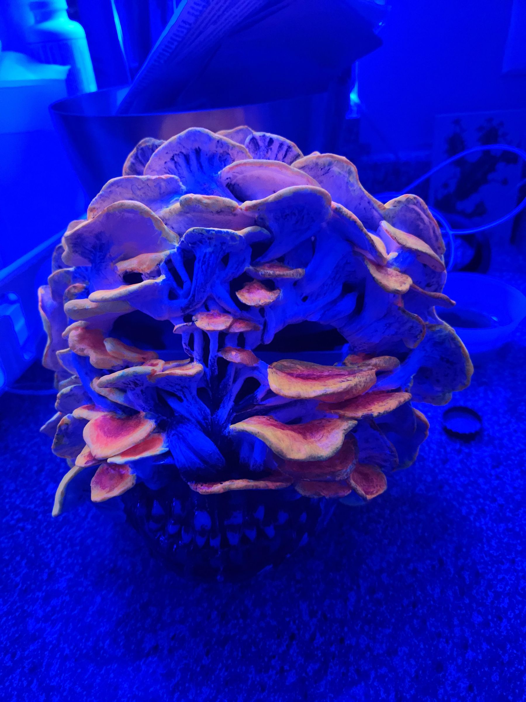 The Last of Us Clicker Mask : 13 Steps (with Pictures) - Instructables