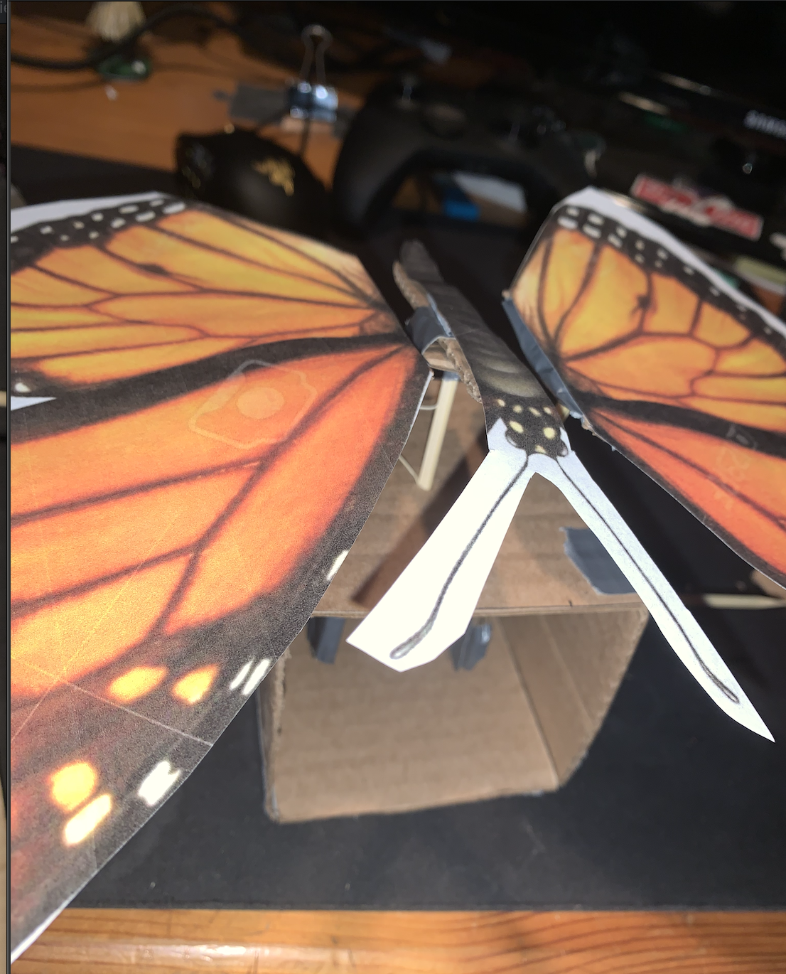 Butterfly Automata : 3 Steps - Instructables