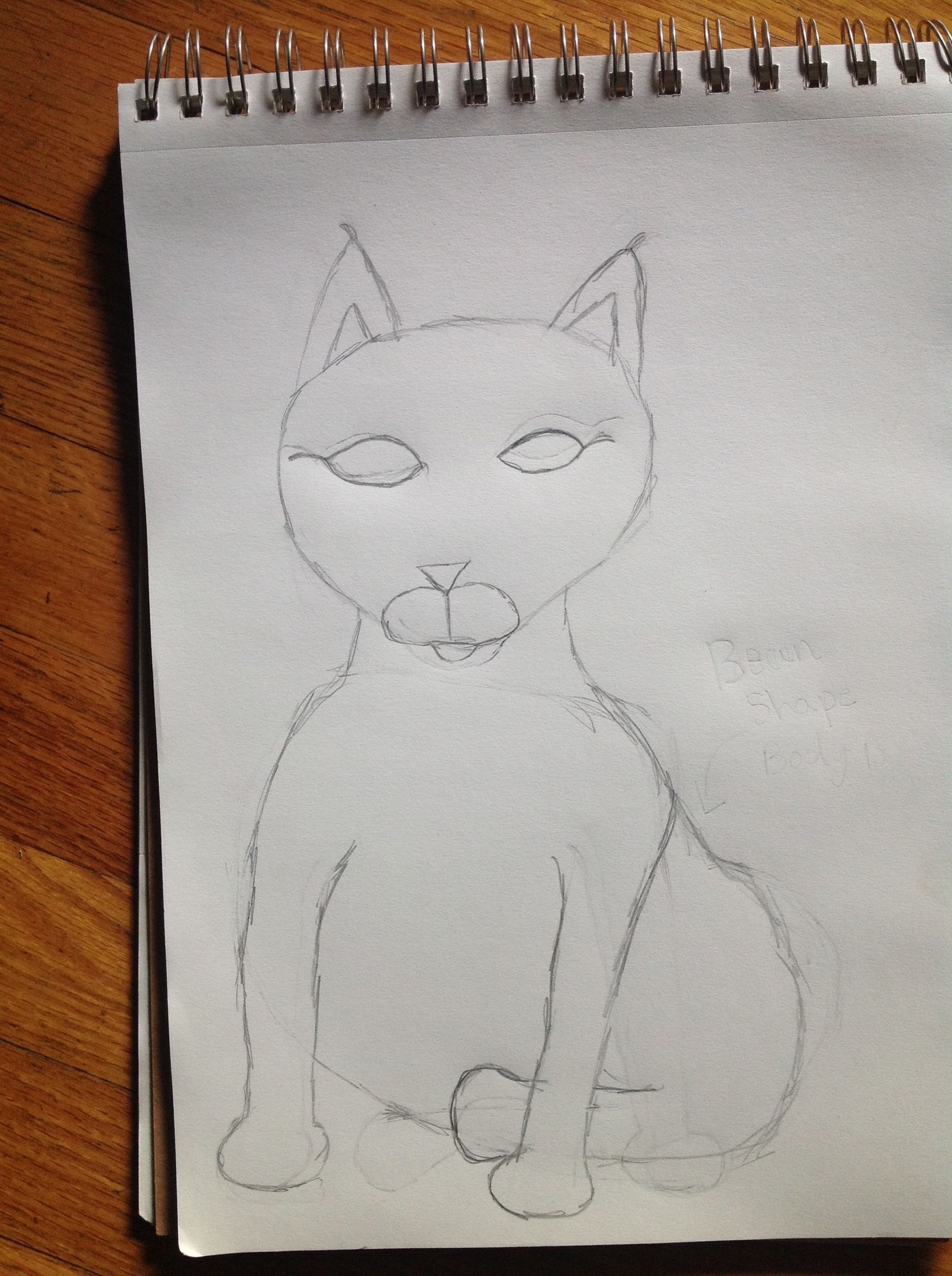 How to Draw a Fat Cat : 9 Steps - Instructables