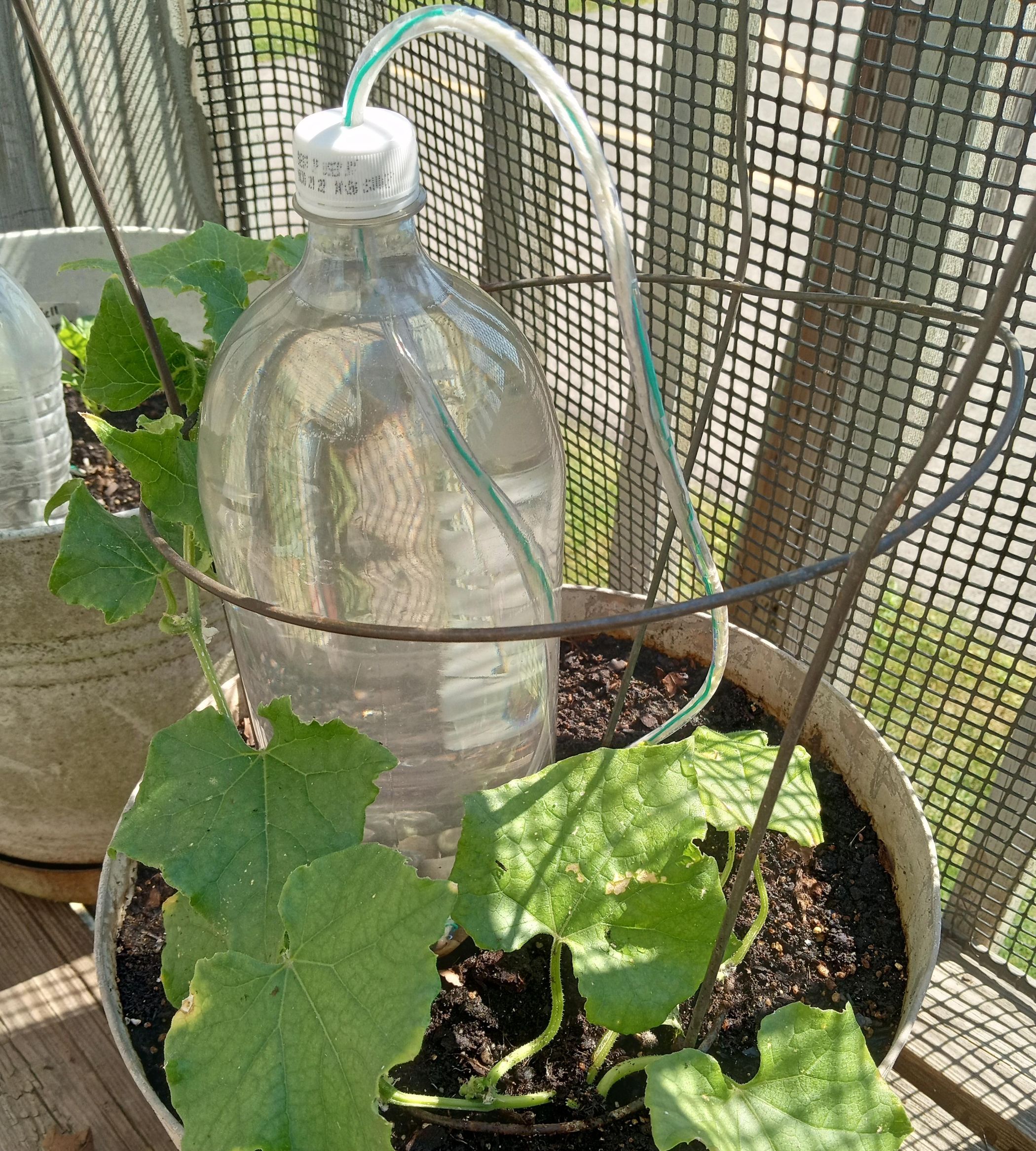Siphon Irrigation : 4 Steps (with Pictures) - Instructables