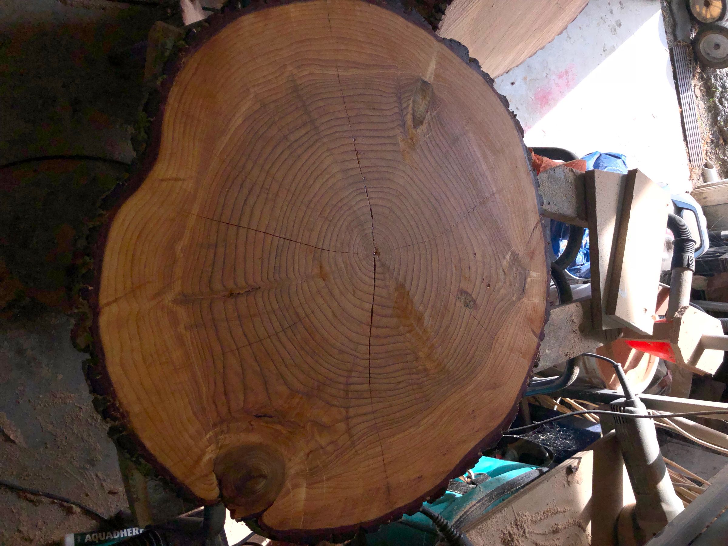 Liturgical Calendar (wooden or Printable) : 4 Steps (with Pictures ...