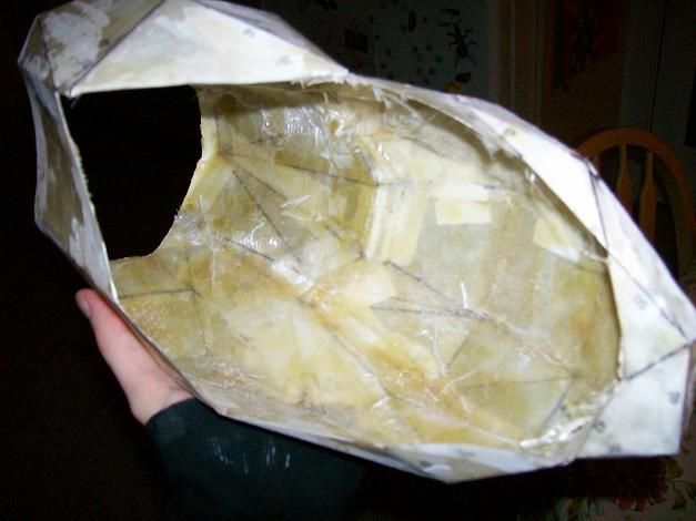Cardboard And Fiberglass