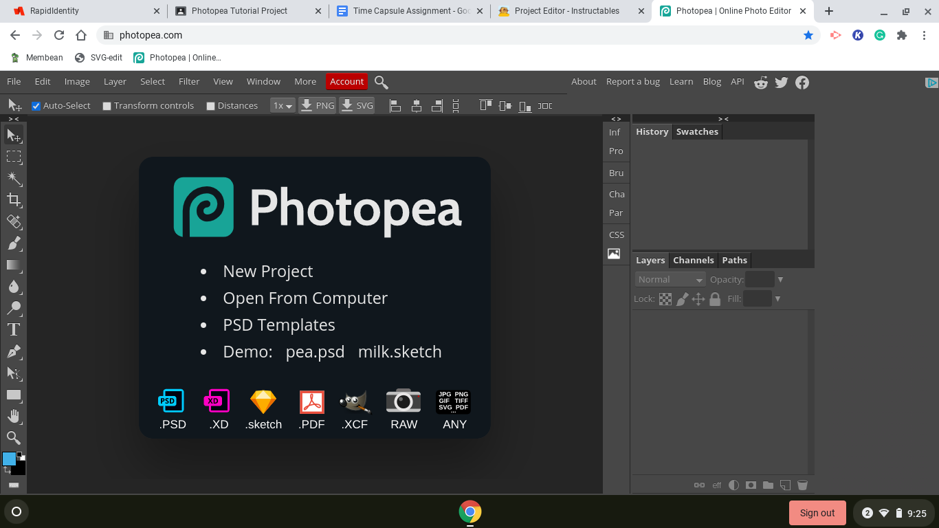 How to Edit the Background of Photos on Photopea : 5 Steps - Instructables