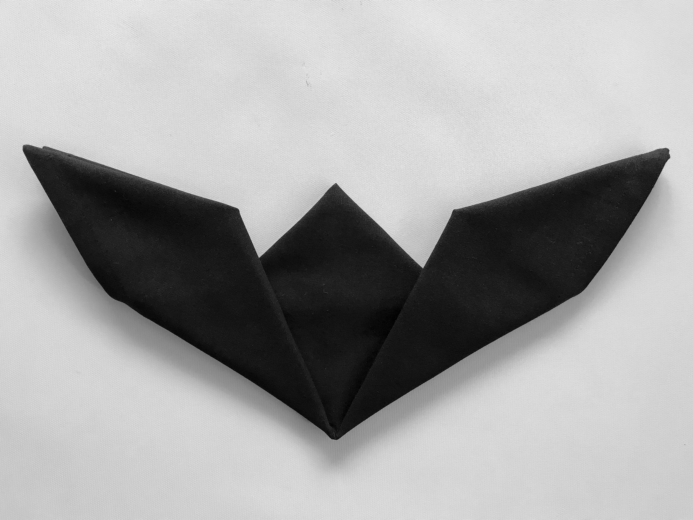 Bat Napkin Folding (with Pictures) - Instructables