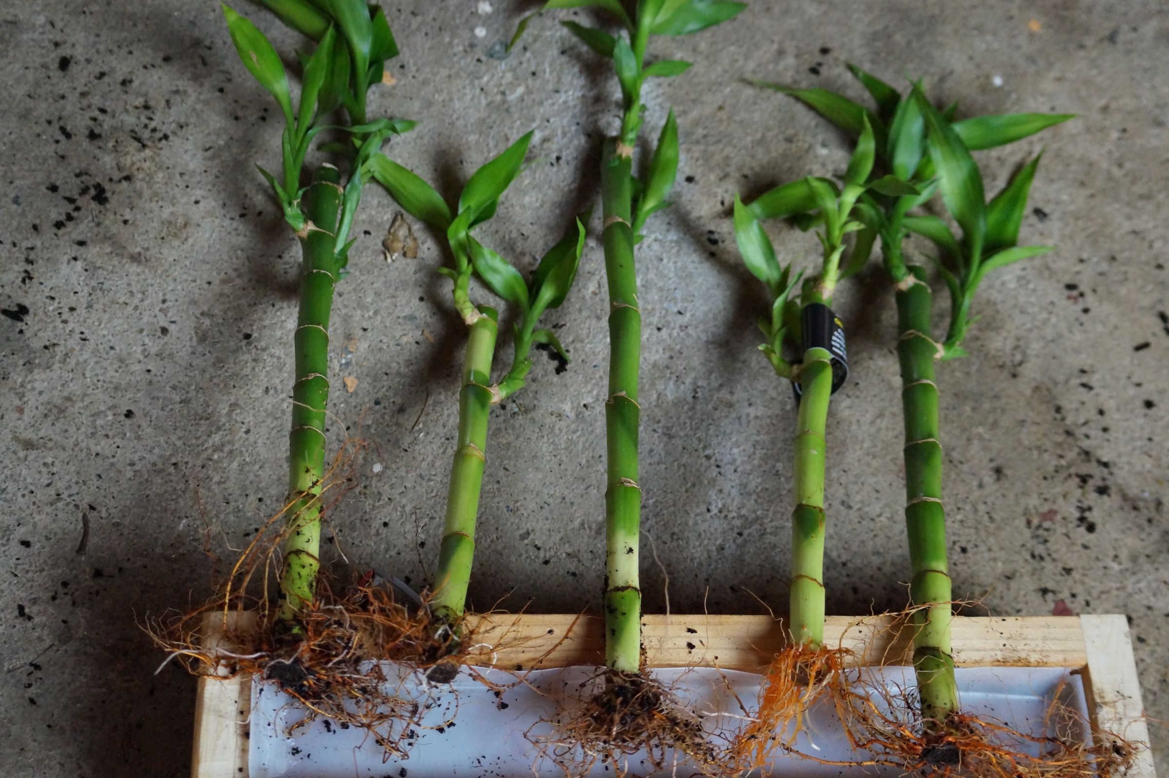 Magical Floating Planter Box : 6 Steps (with Pictures) - Instructables