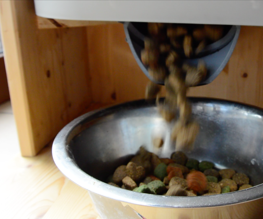 Dog Feeding Aid : 10 Steps - Instructables