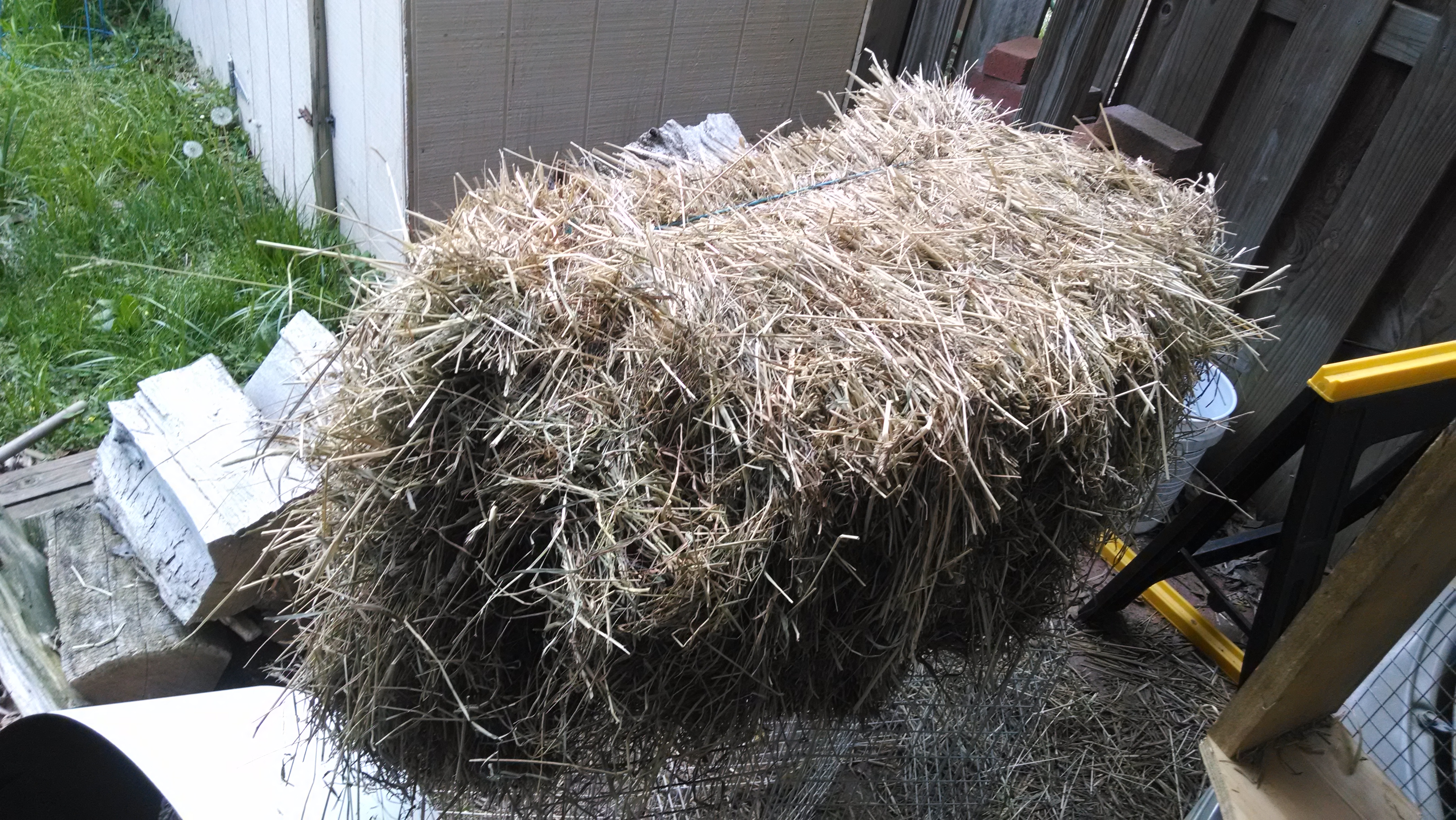 Small Rabbit Farming : 7 Steps (with Pictures) - Instructables