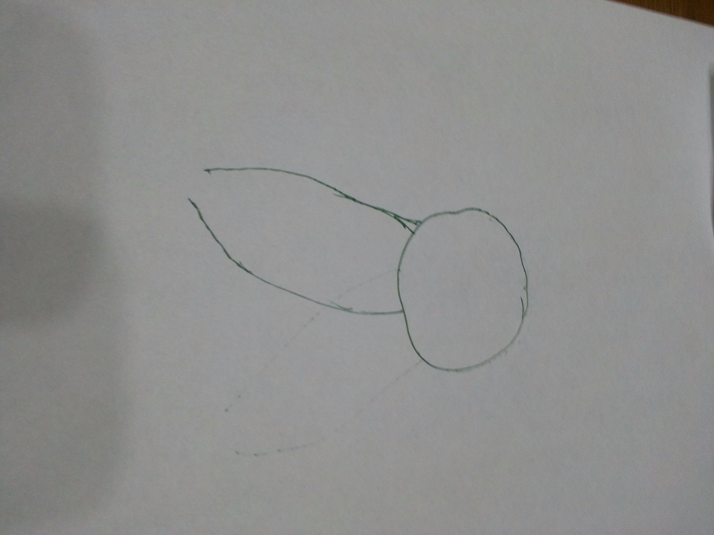 How to Draw a Budgie : 6 Steps - Instructables