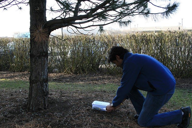 Geocache-A-Forest DIY Kit : 3 Steps - Instructables