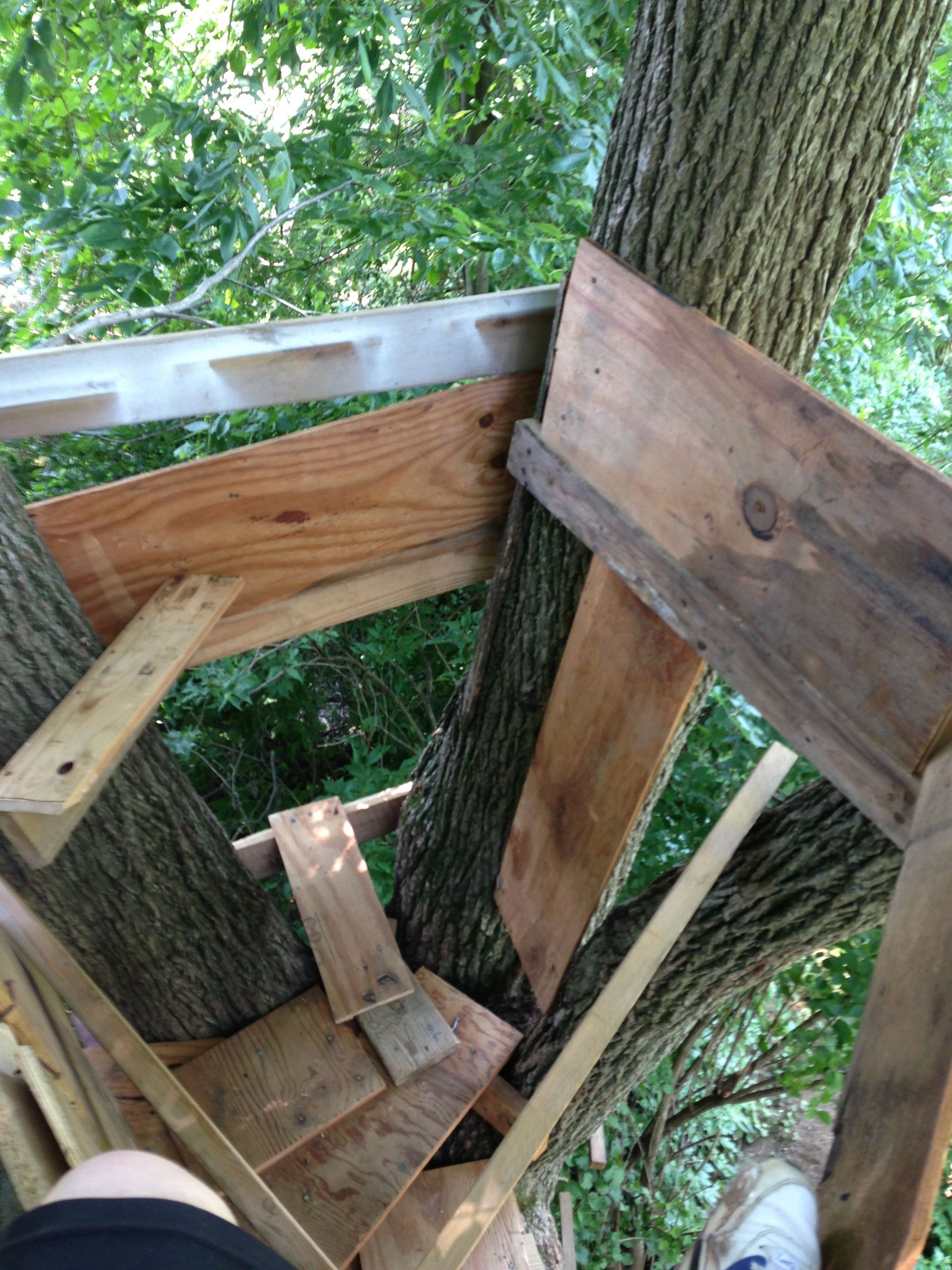 DIY Treehouse : 9 Steps - Instructables