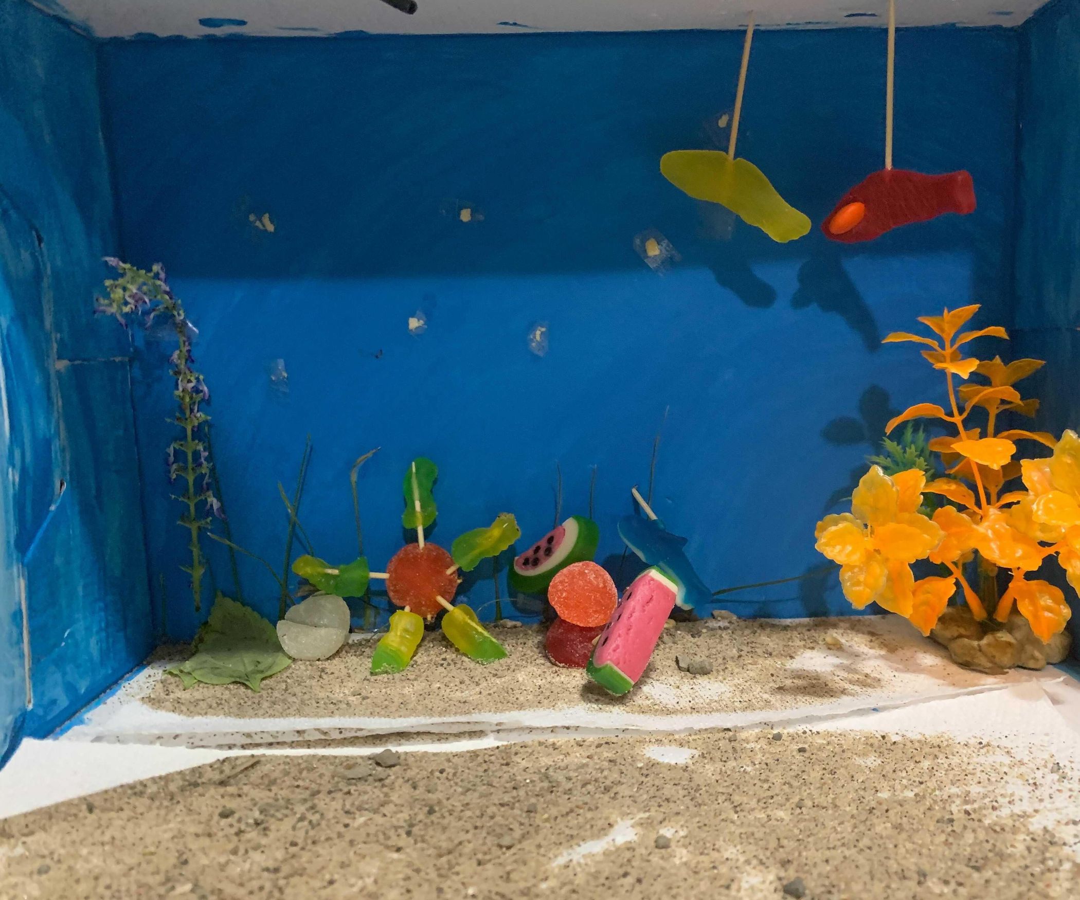 Marine Ecosystem Made From Candy : 9 Steps - Instructables