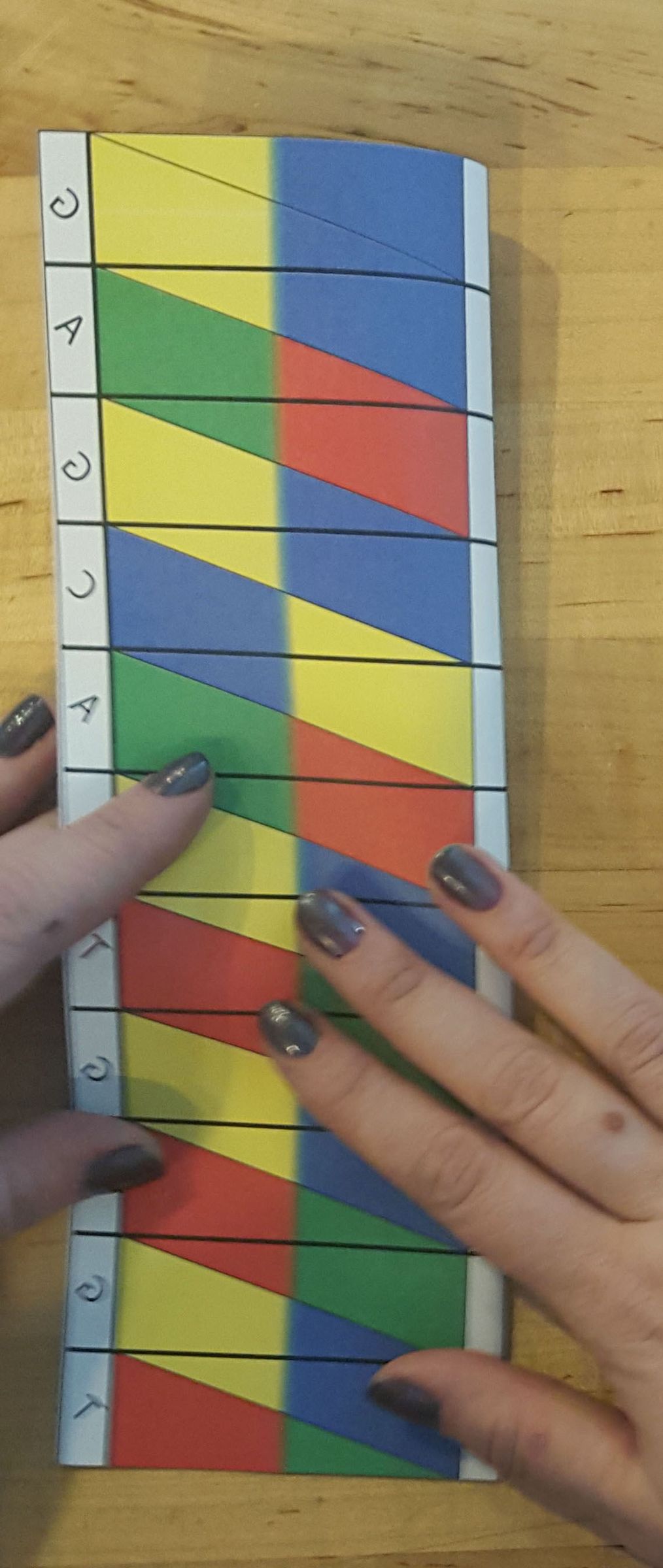 Dna Model Paper