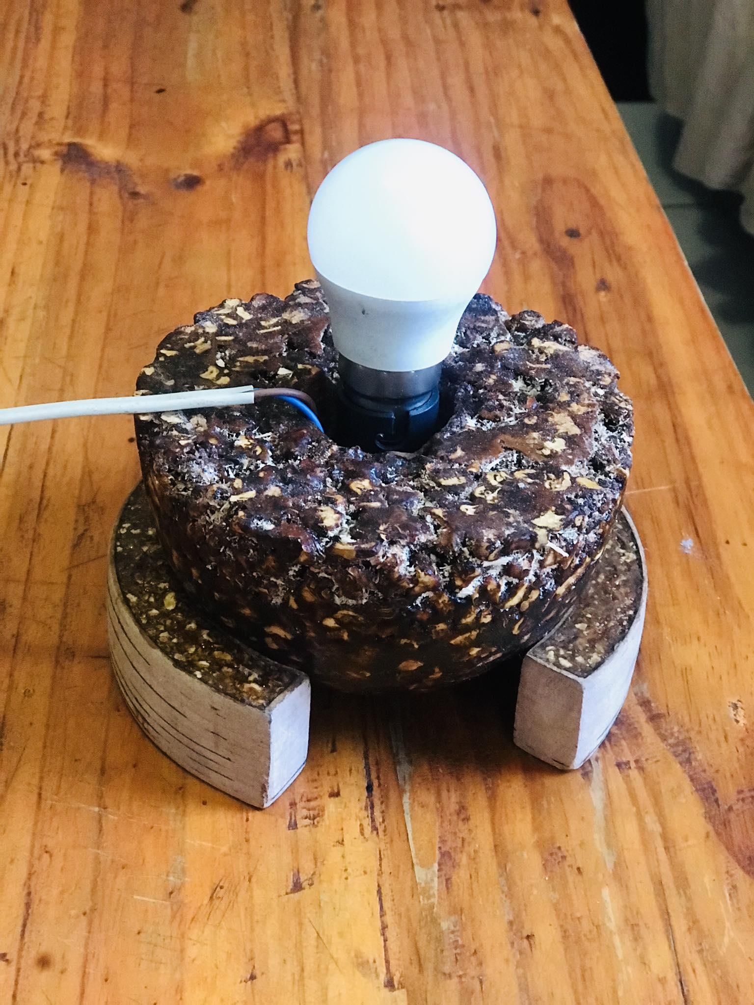 Bio-luminaire Housing (Corn and Sugar) : 8 Steps - Instructables